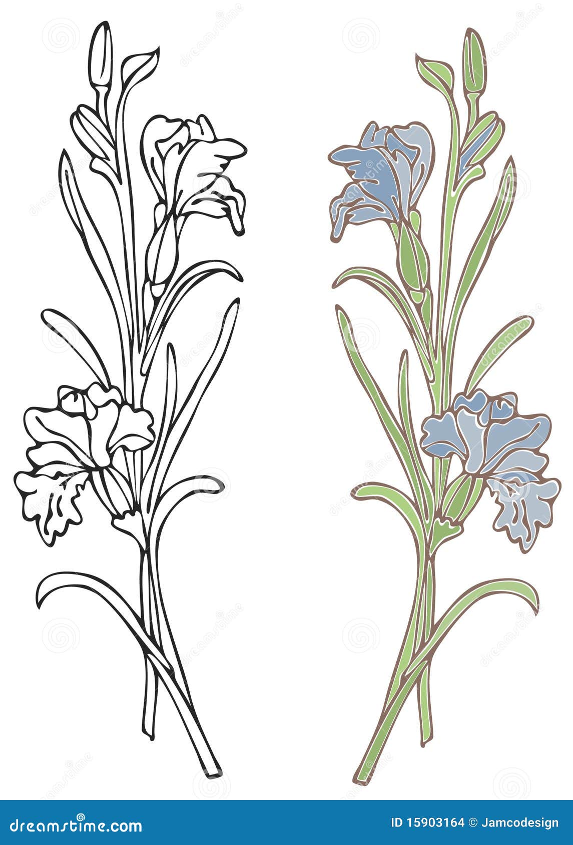 Blue Iris stock vector. Illustration of pair, leaves - 15903164