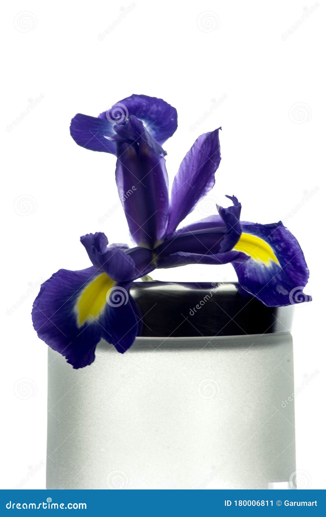 Blue Iris Flower Abstract Shape on Glass and Steel Stock Image - Image ...