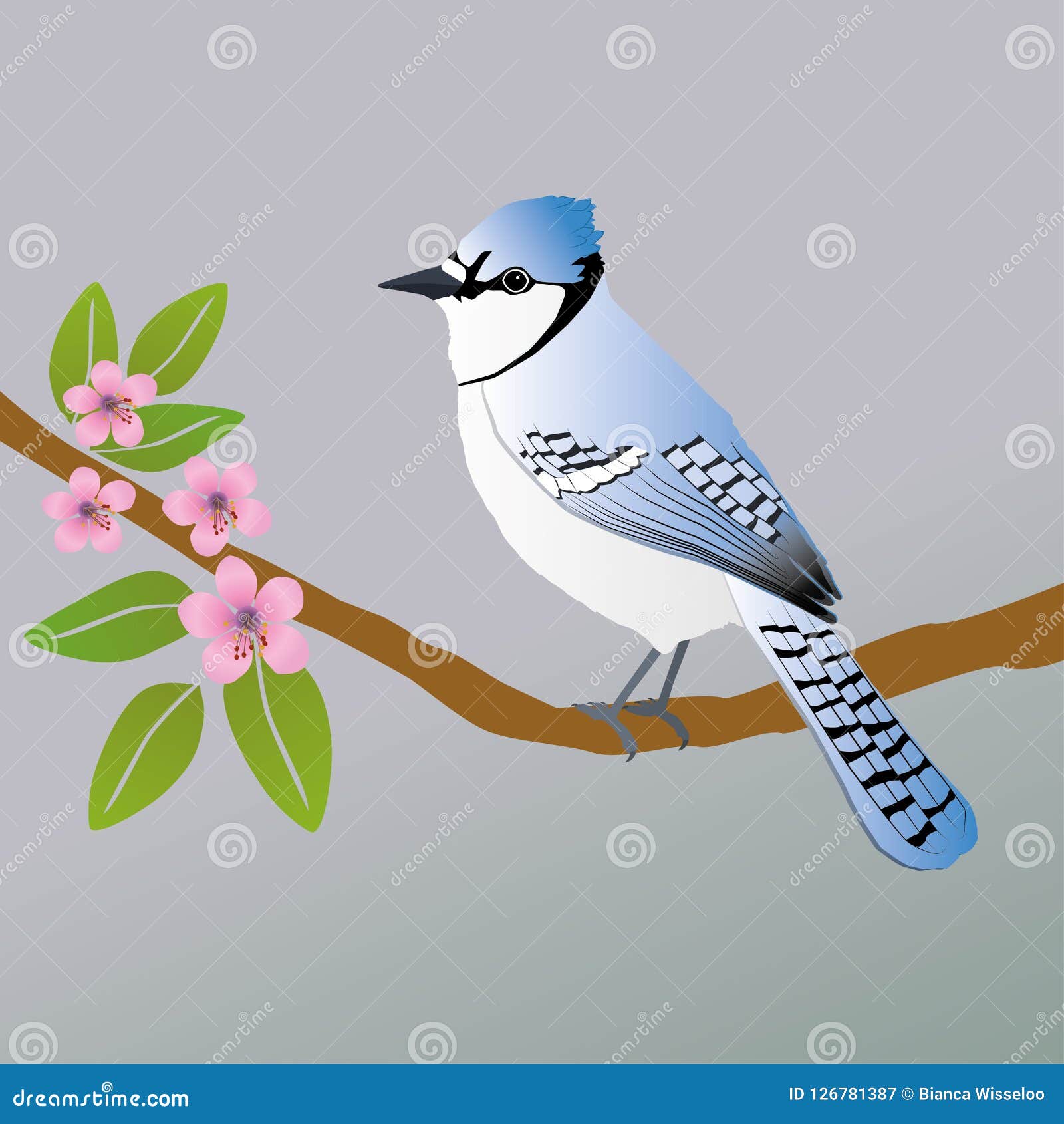 Blue Jay bird illustration stock vector. Illustration of animal - 126781387