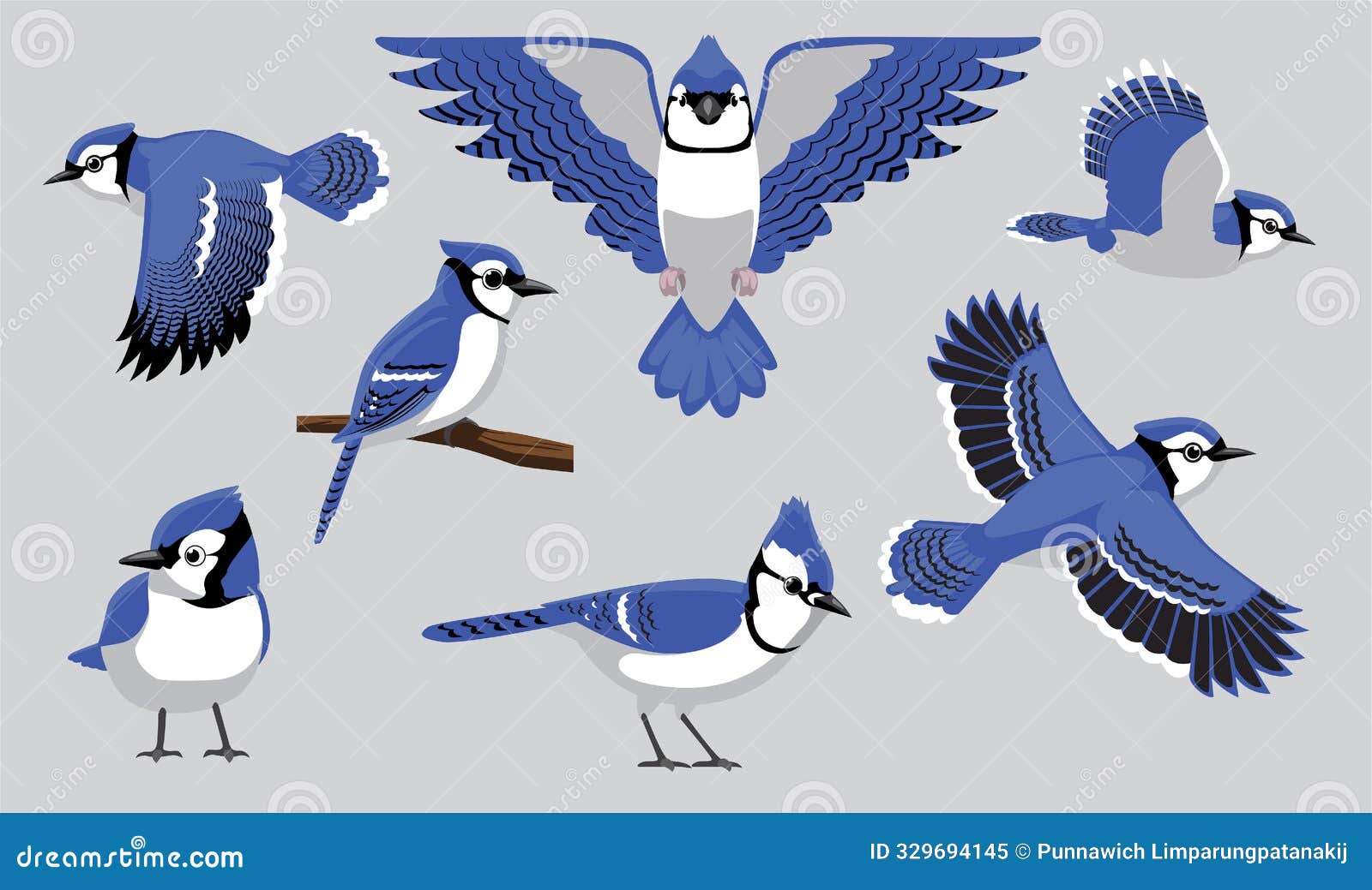 Blue Jay Bird Various Poses Cartoon Vector Character Stock Vector ...