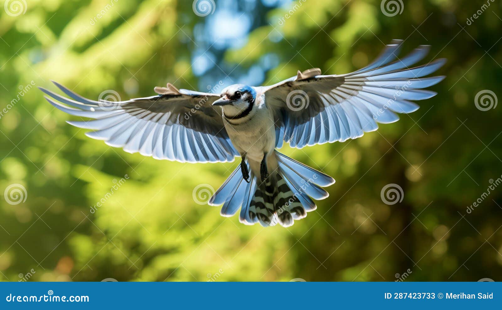 Blue Jay Flying. AI Generative Stock Image - Image of animal, prey ...