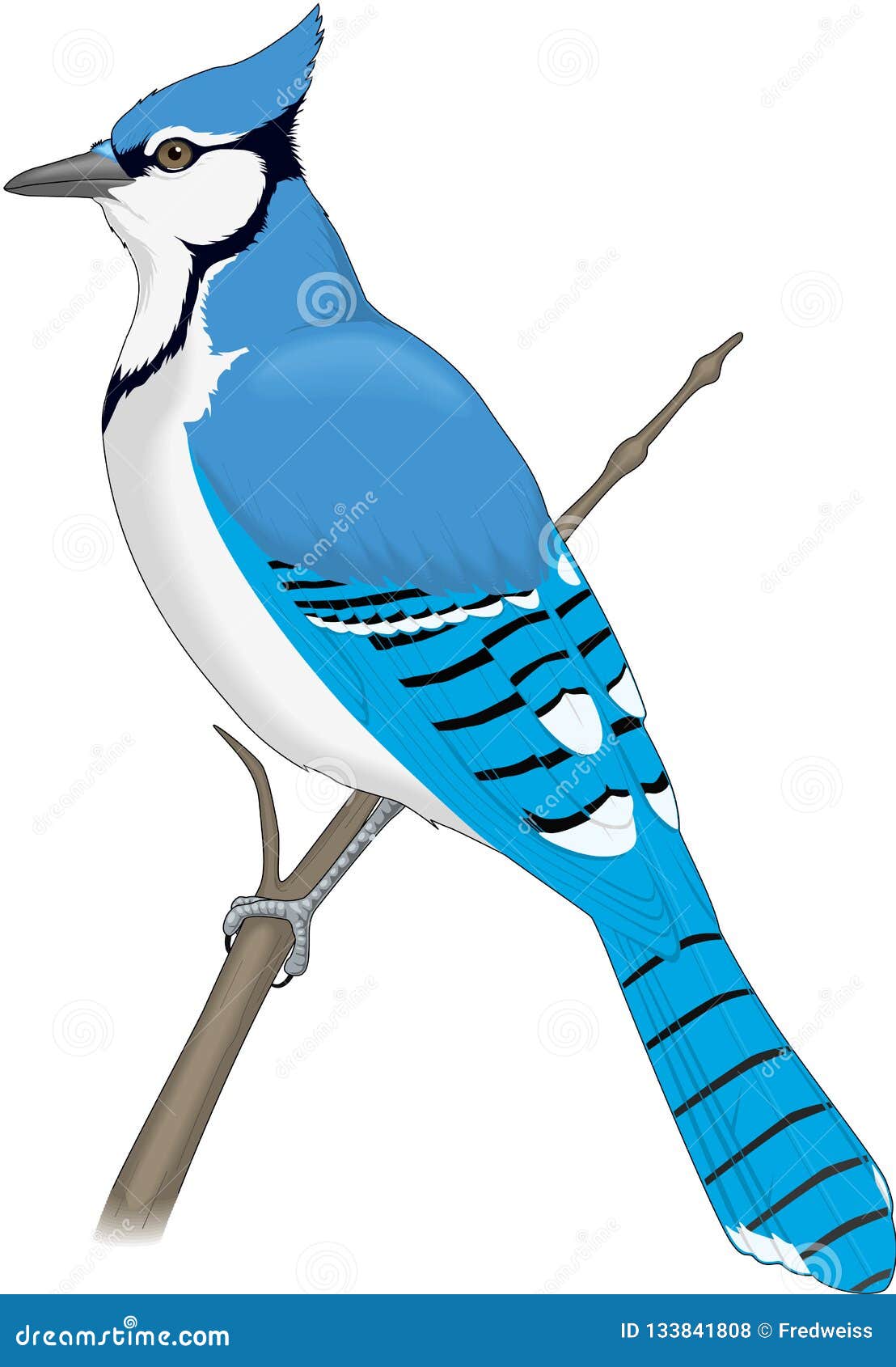 Perched Cartoons, Illustrations & Vector Stock Images - 2822 Pictures ...