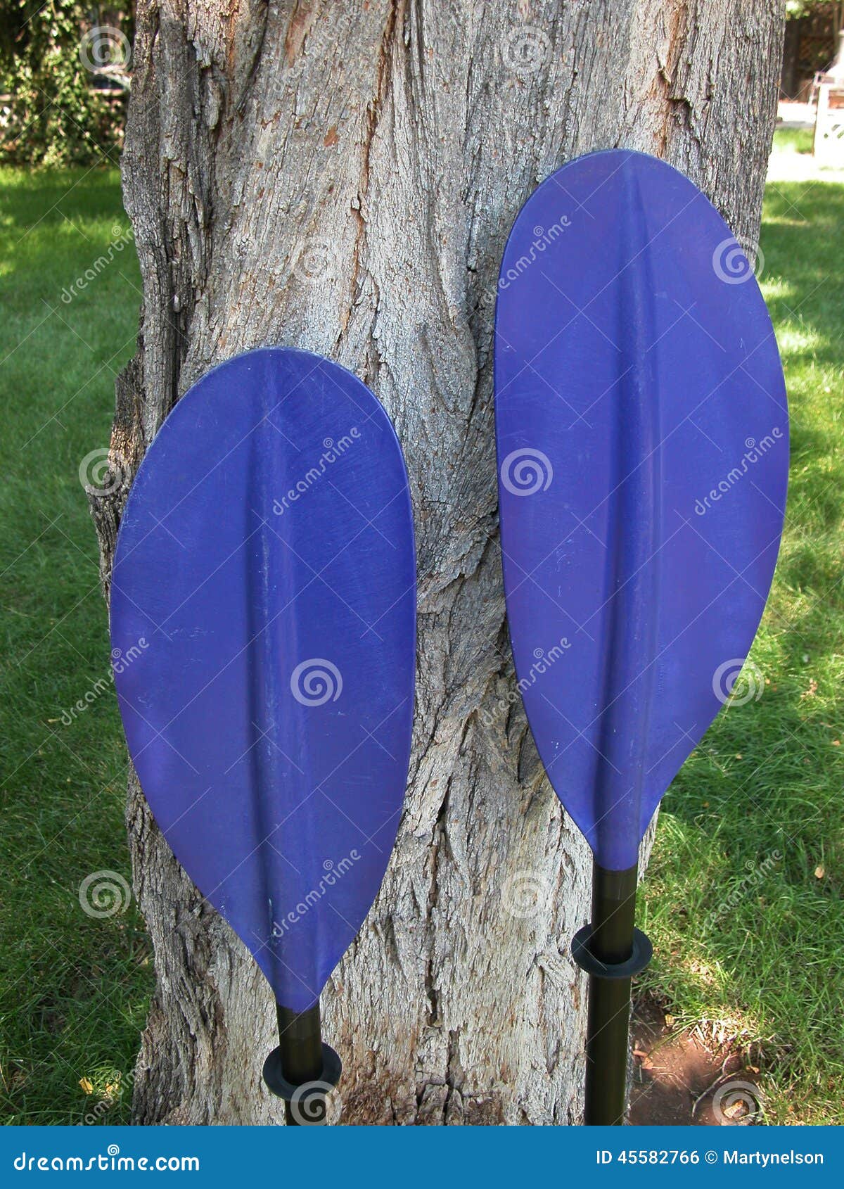Kayak Paddles On The Lake With Mountains Royalty-Free Stock Photo ...
