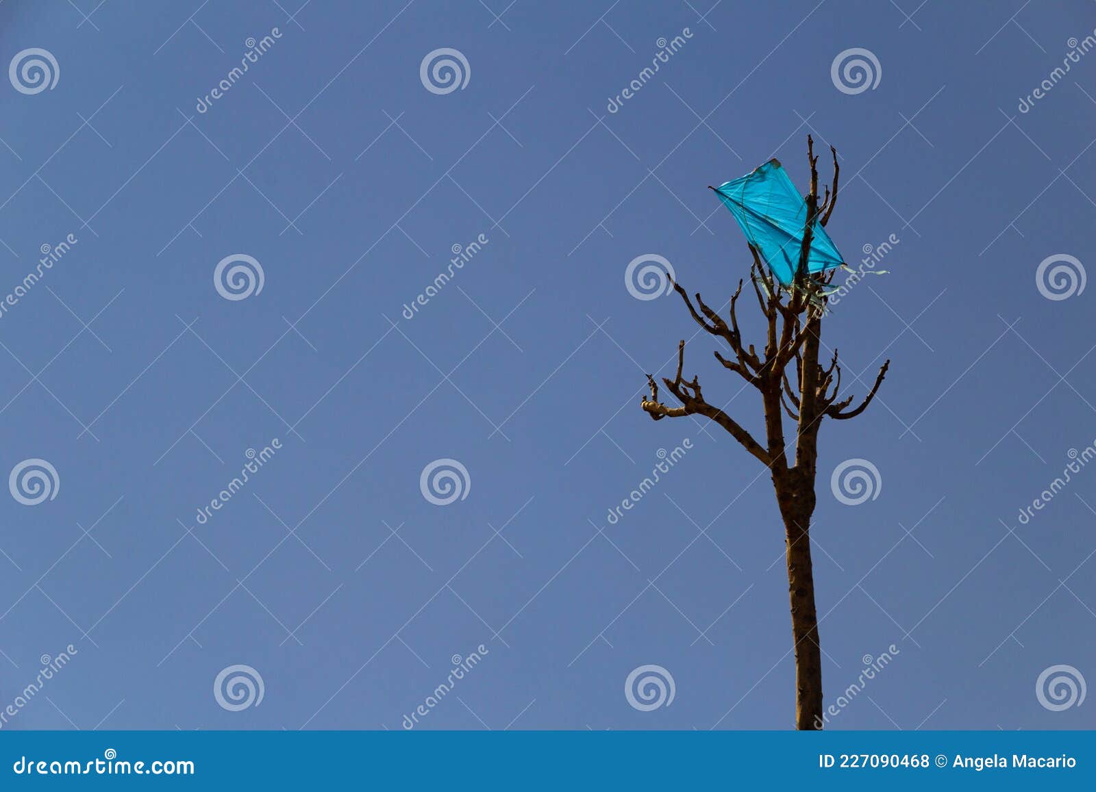 A Blue Kite Caught in the Branches of a Dry Tree. Stock Photo - Image ...