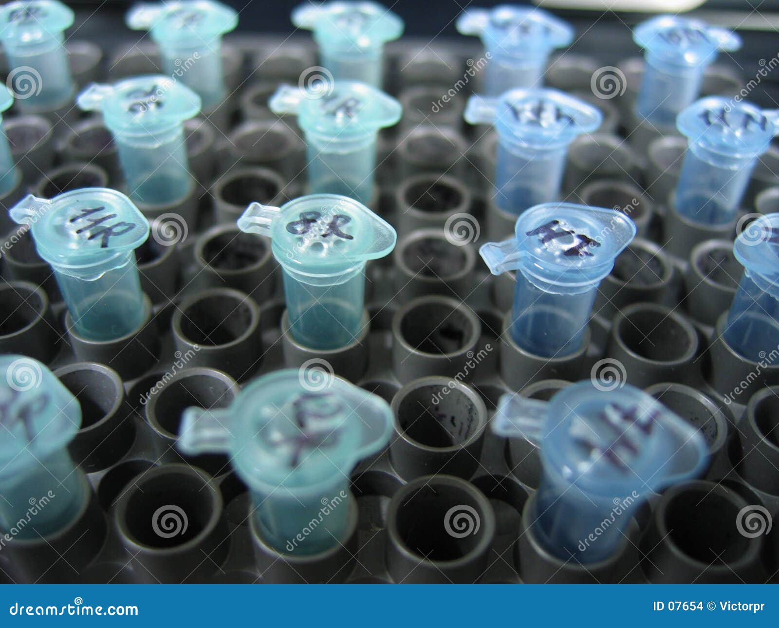 Blue lab flasks stock photo. Image of laboratory, bulb, doctor - 7654