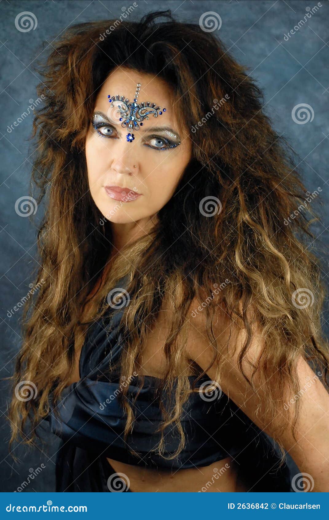 Blue lady stock photo. Image of fantasy, feline, model - 2636842