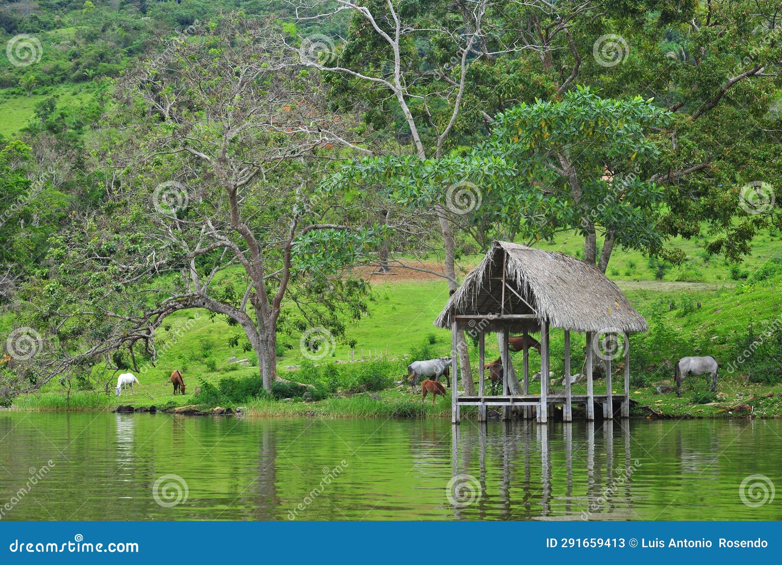 Blue Lagoon in Tarapoto Peru Stock Image - Image of forest, blue: 291659413
