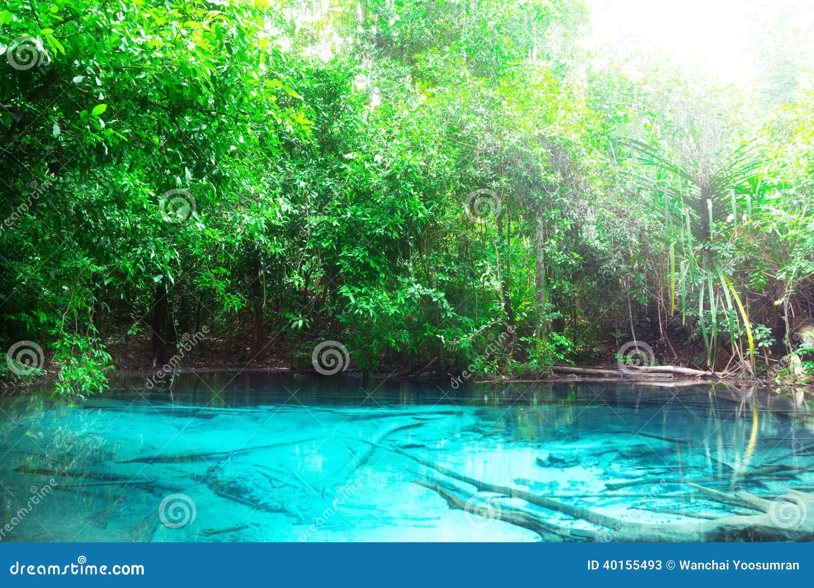 Blue lake in deep forest stock image. Image of reflection - 40155493