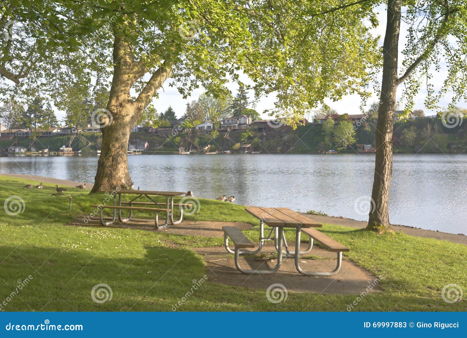 Blue Lake Park Oregon State. Stock Image - Image of parks, state: 69997883
