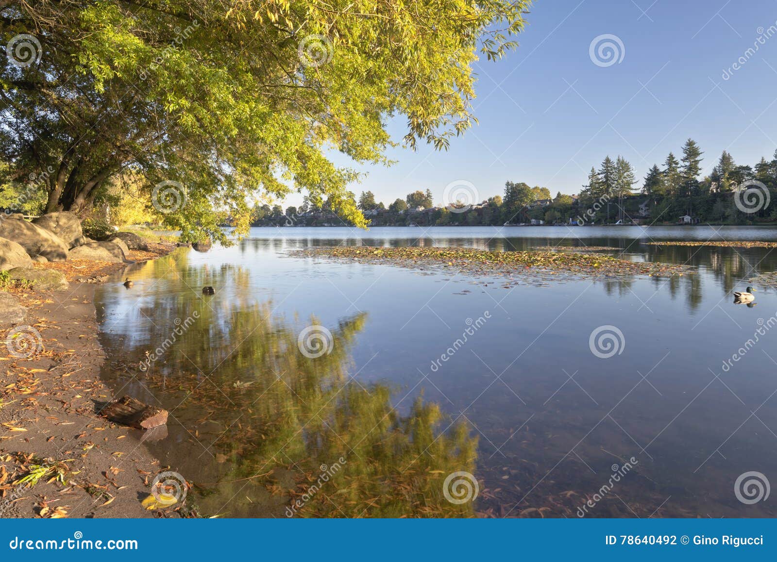 Blue Lake Park at Sunset Oregon. Stock Photo - Image of sand, outdoor ...