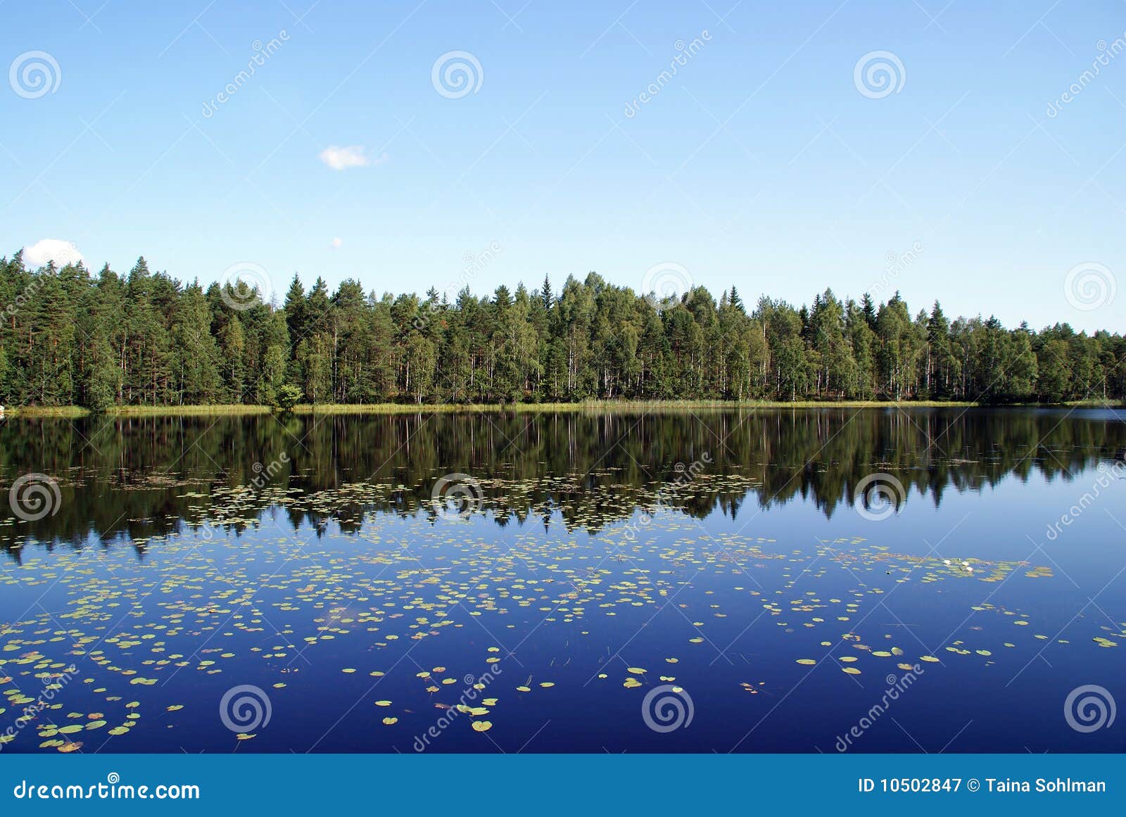 Blue Lake Reflections stock image. Image of idyllic, scenery - 10502847