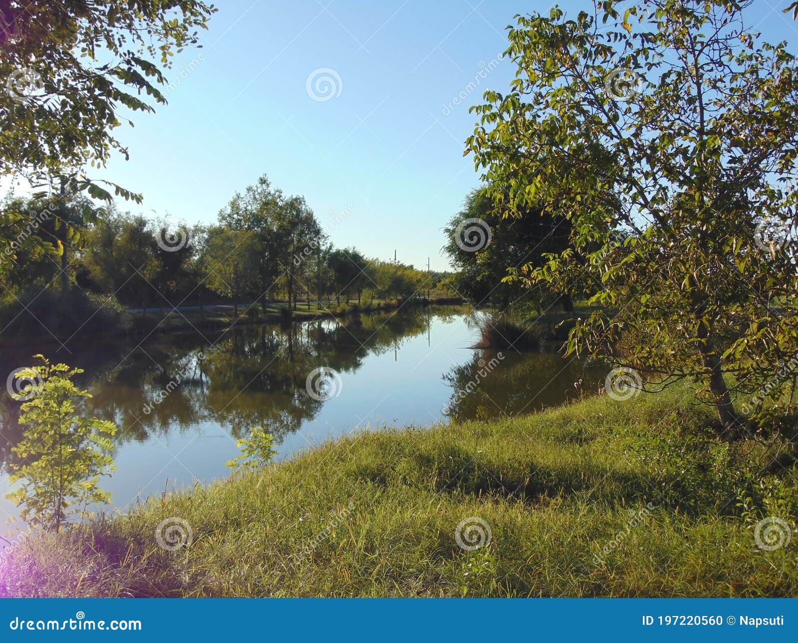 Blue Lake Landscape with Trees Stock Photo - Image of blooming, color ...