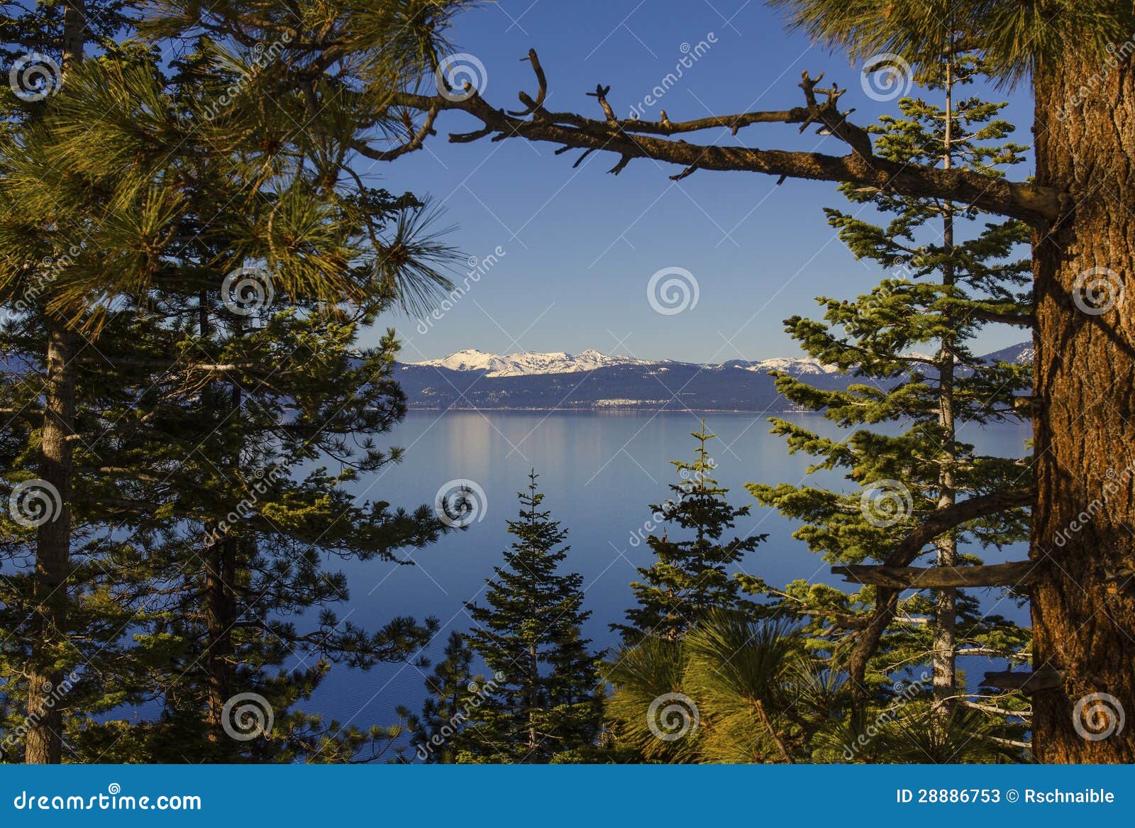 Blue Lake Viewed through the Trees Stock Image - Image of lake, holiday ...