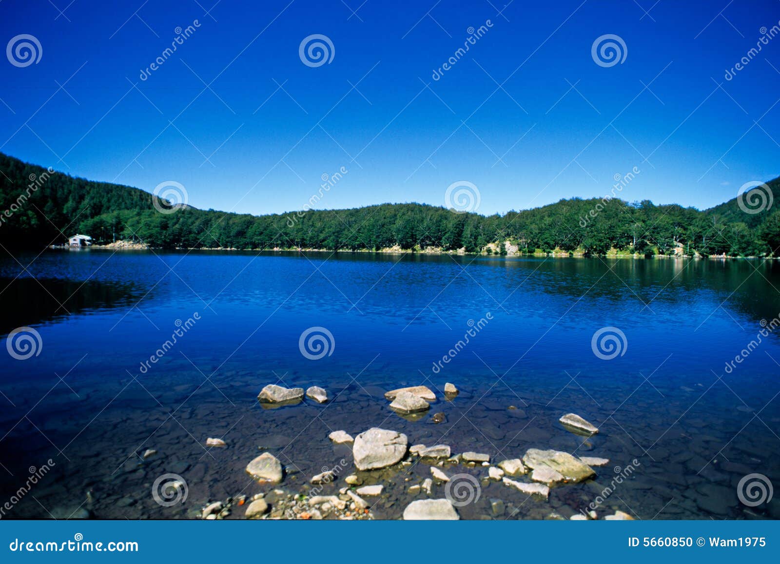 Blue lake water stock photo. Image of bank, empty, warm - 5660850