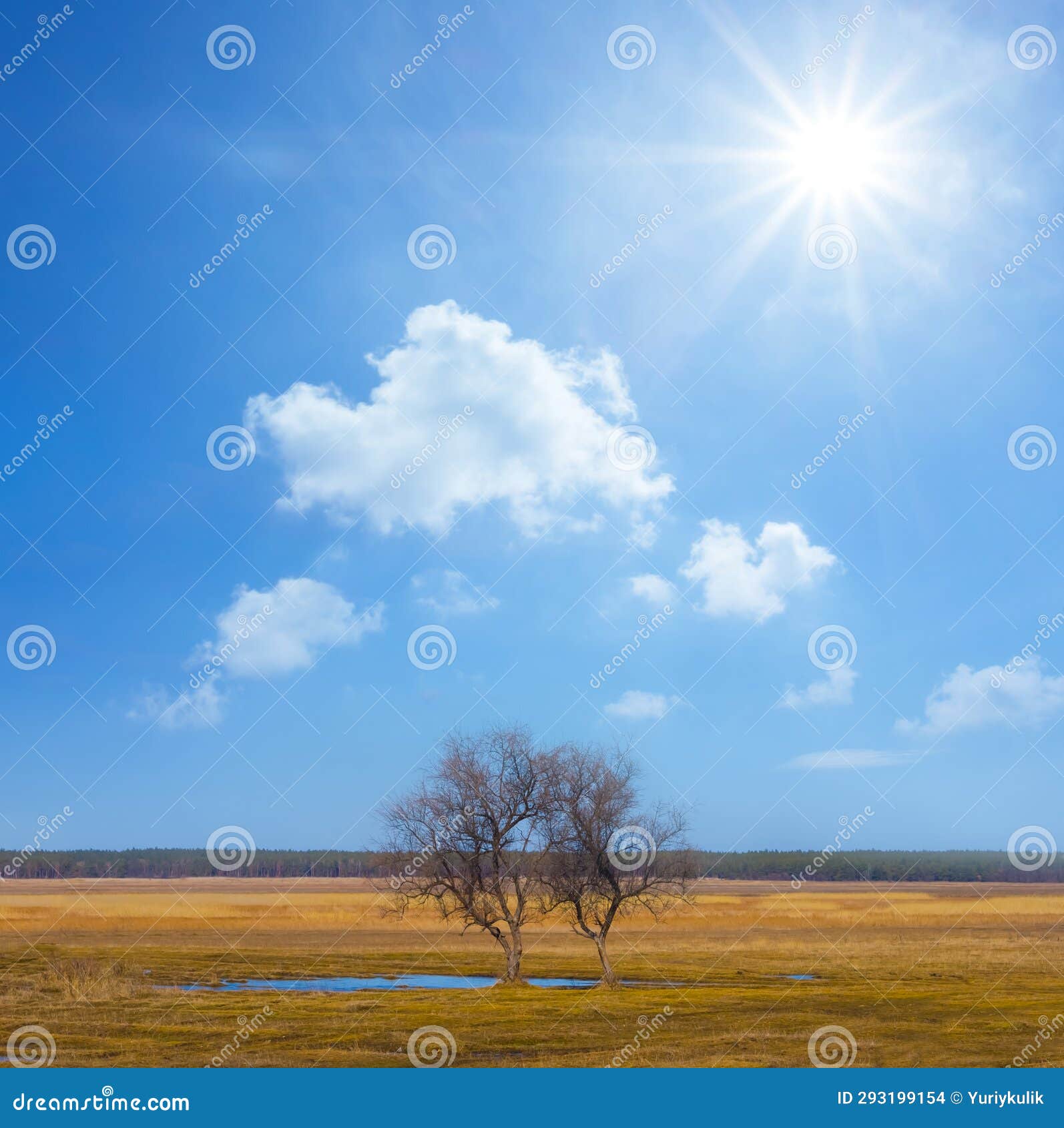 Blue Lake among Wide Prairie Stock Photo - Image of sunlight, alone ...