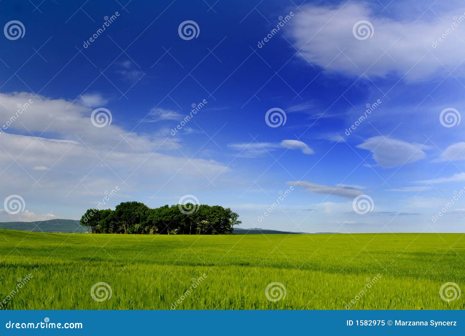 Blue landscape. stock image. Image of beauty, garden, country - 1582975