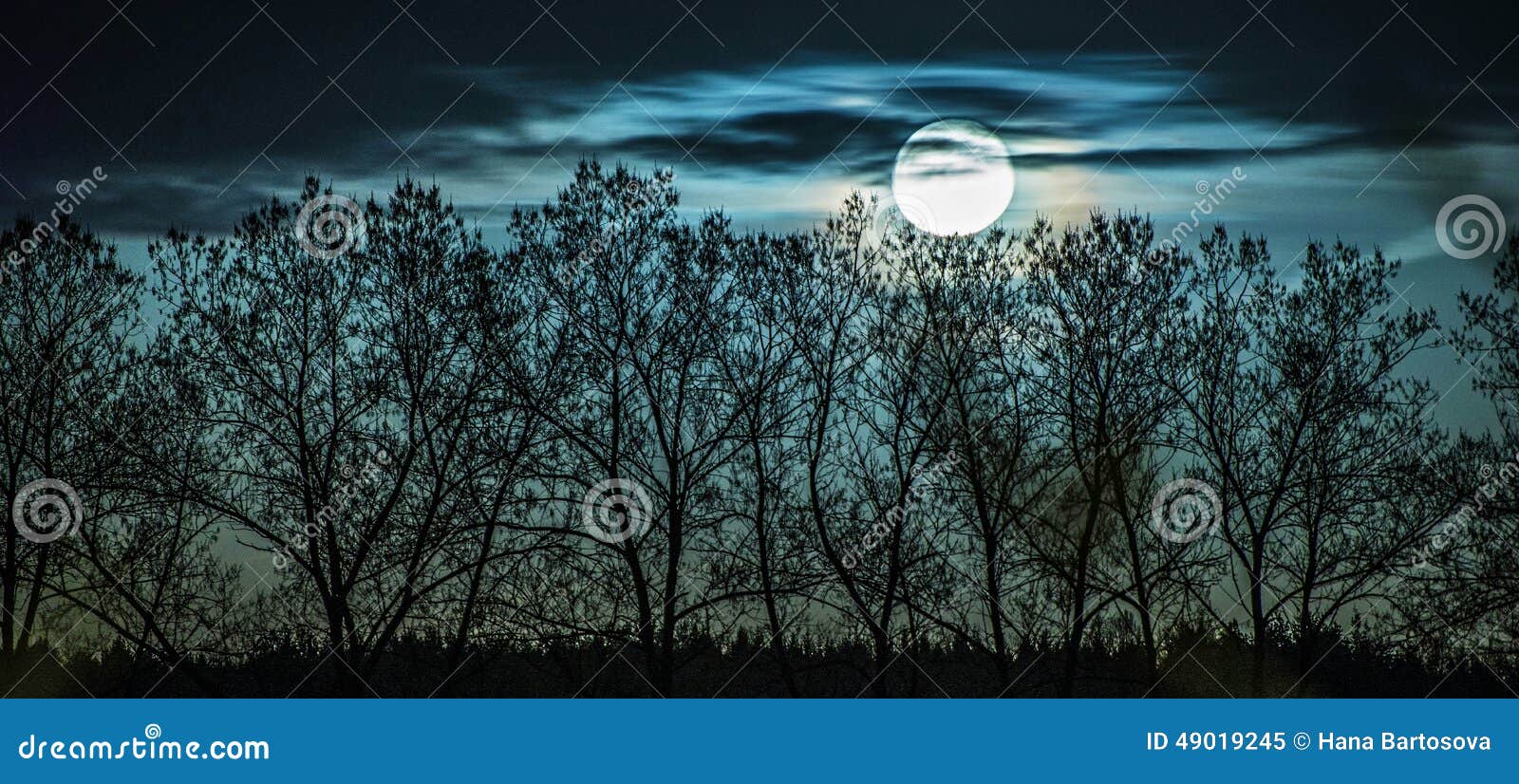 Blue Landscape with Full Moon and Trees Stock Image - Image of lonely ...