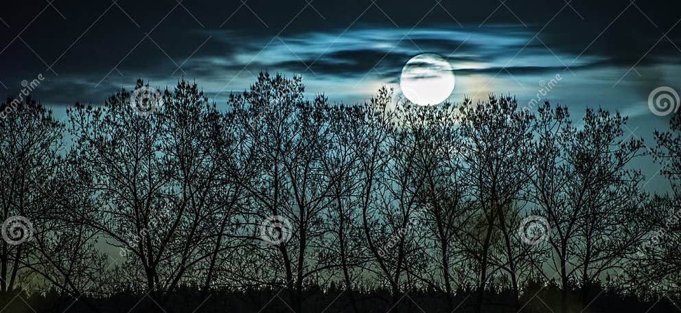 Blue Landscape with Full Moon and Trees Stock Image - Image of lonely ...