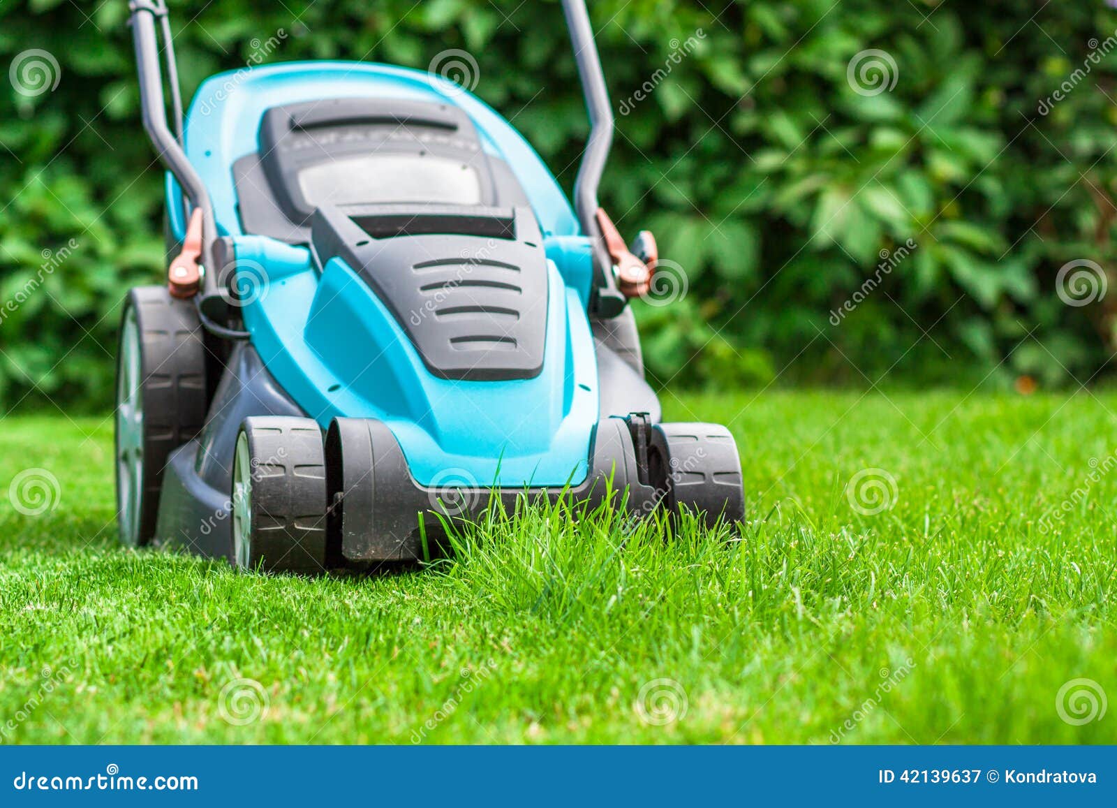 Blue Lawn Mower on Green Grass Cut the Grass Stock Image - Image of ...