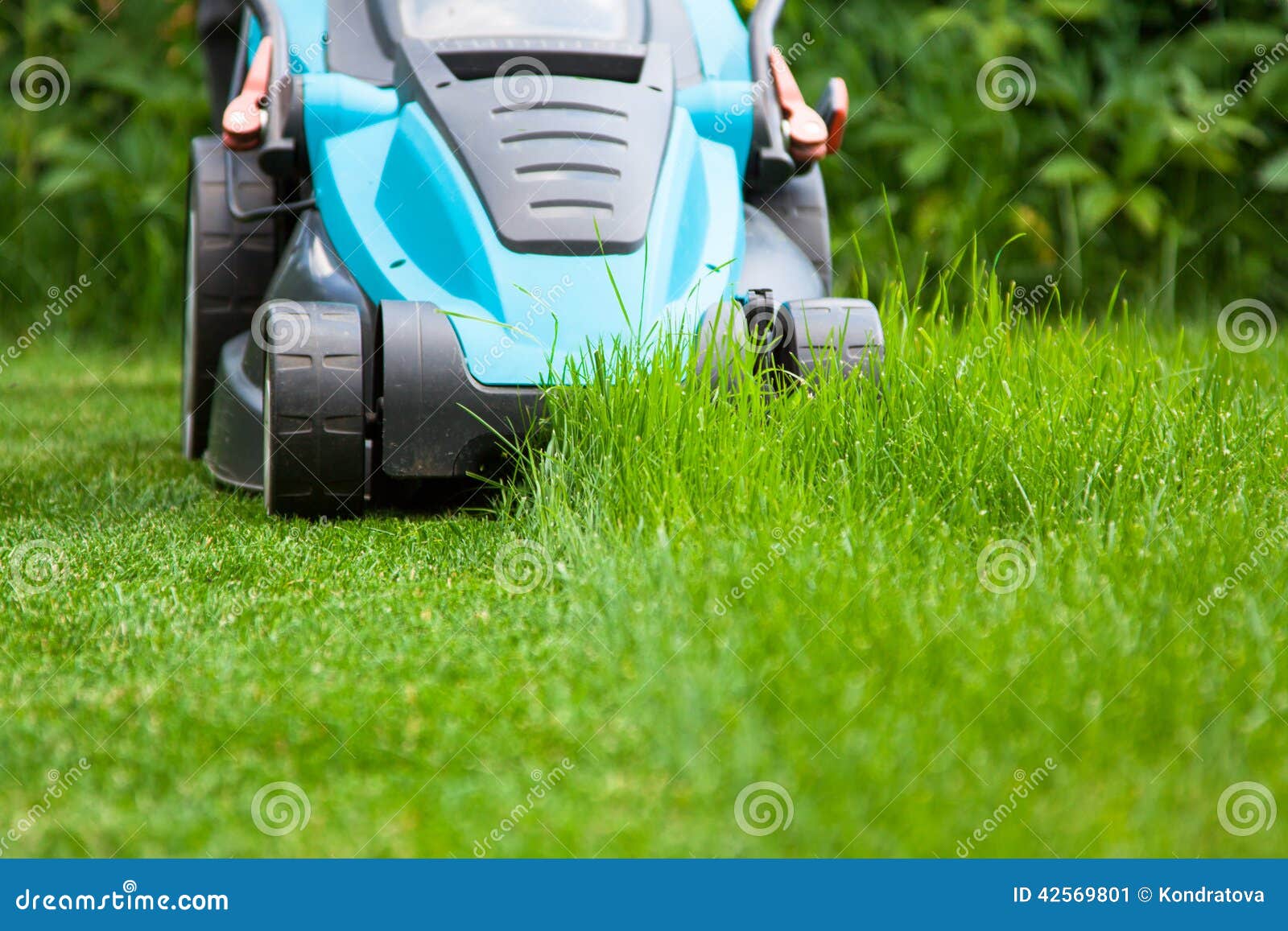 Blue Lawn Mower on Green Grass Cut the Grass Stock Image - Image of ...