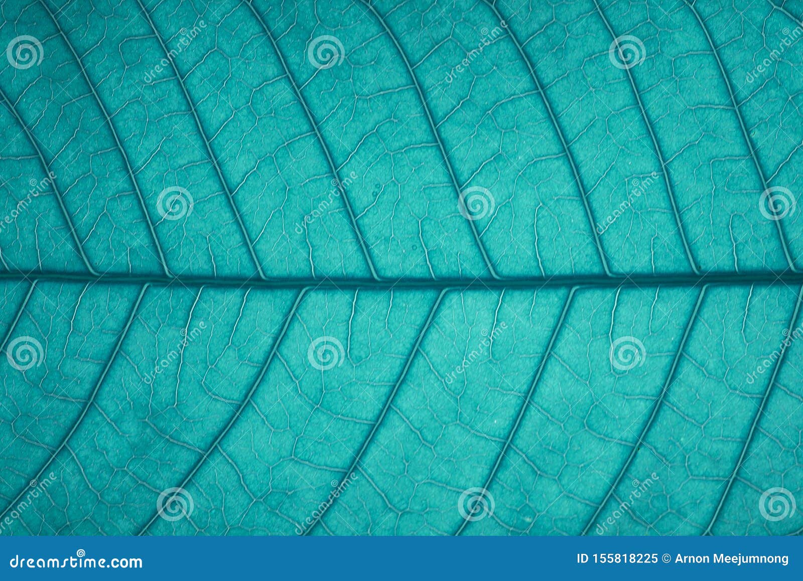 Blue leaf biology texture stock image. Image of element - 155818225