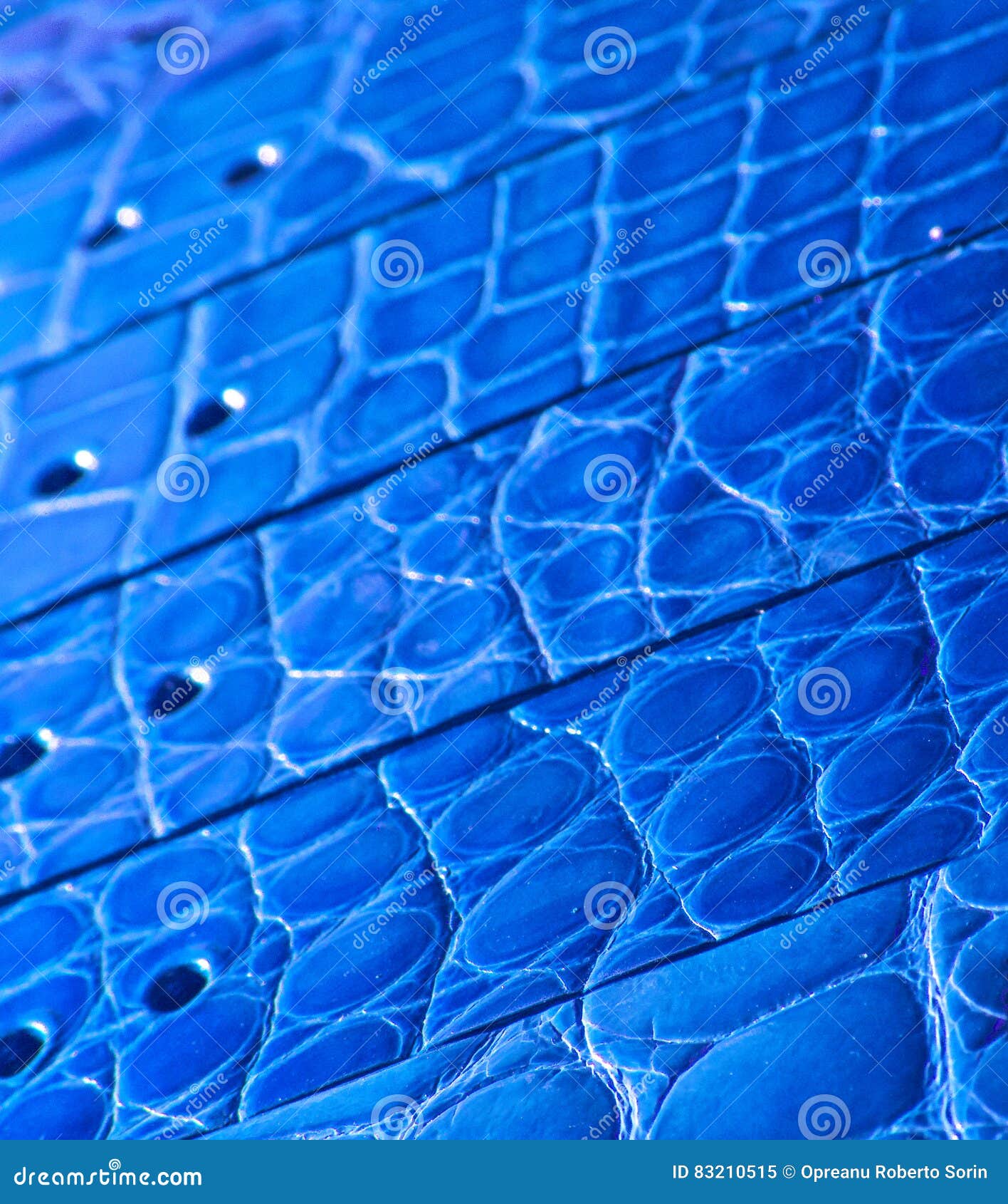 Blue Leather belts stock image. Image of fashion, detail - 83210515