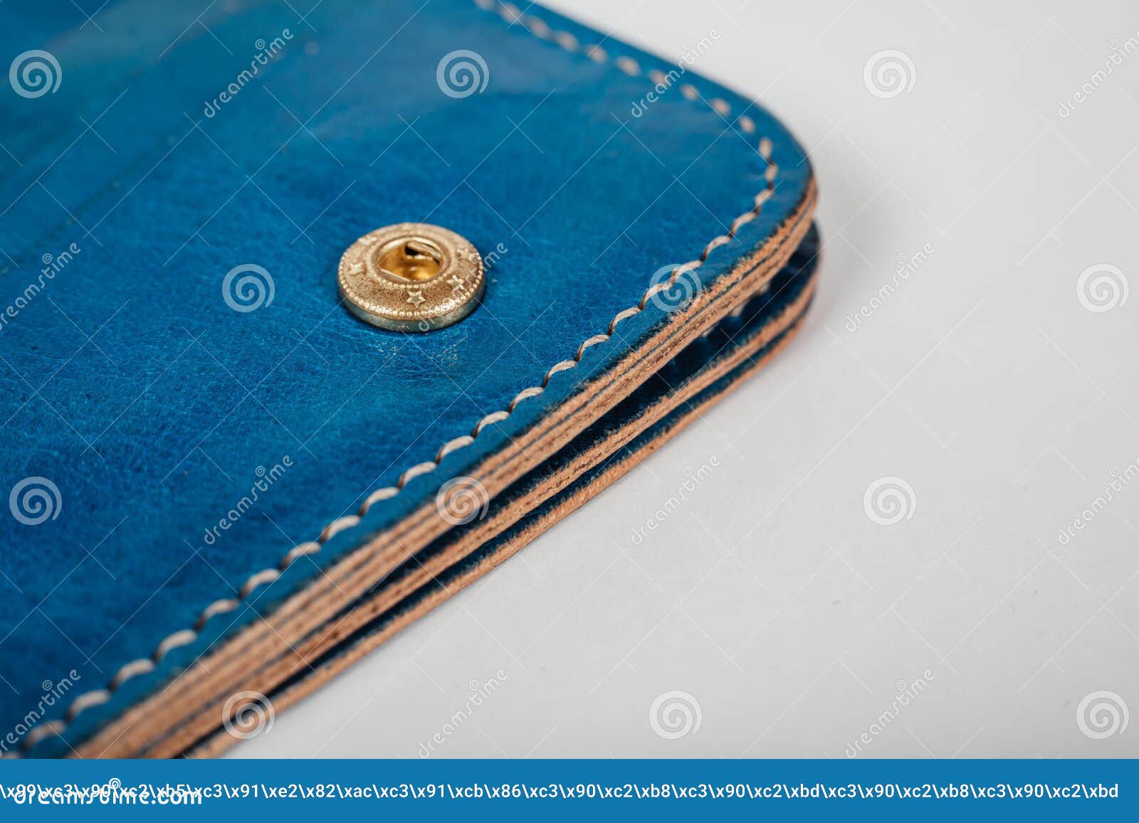 Blue Leather Case Notebook Isolated on White Background. Stock Photo ...