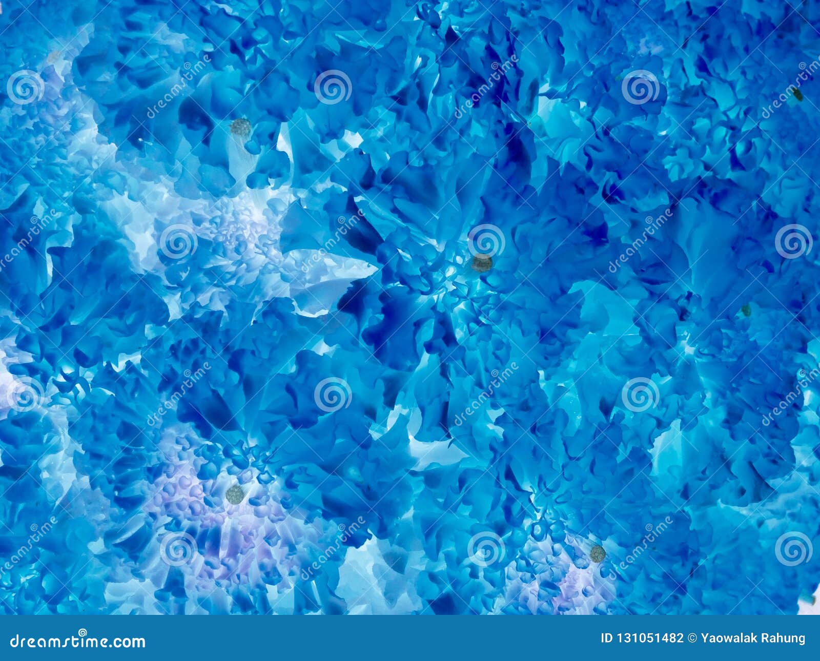 Blue leave tree texture stock photo. Image of detail - 131051482