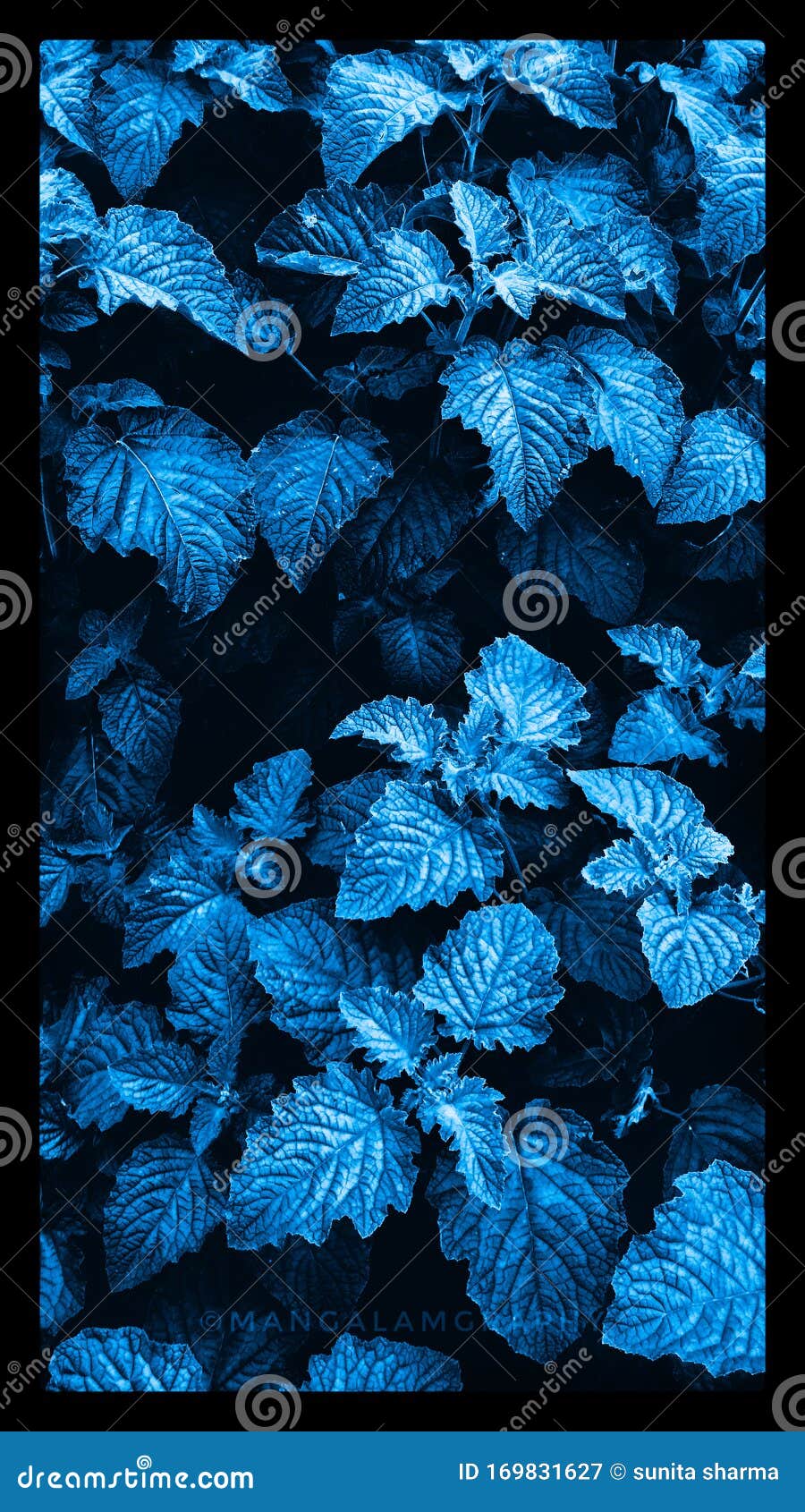 Blue Leaves Wallpaper at Martha Cannon blog