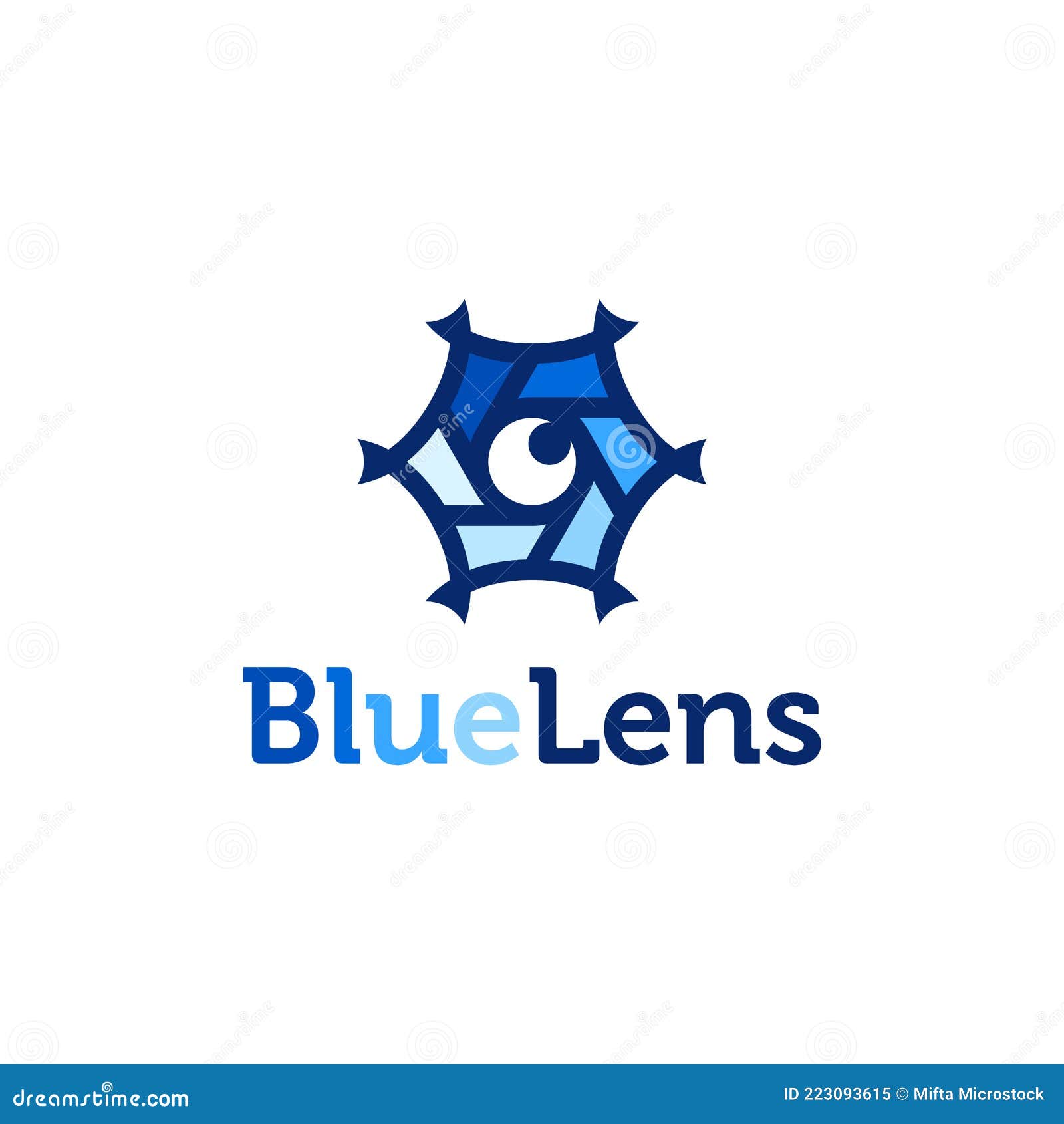 Blue Lens Logo Design Template Unique Modern Stock Vector ...