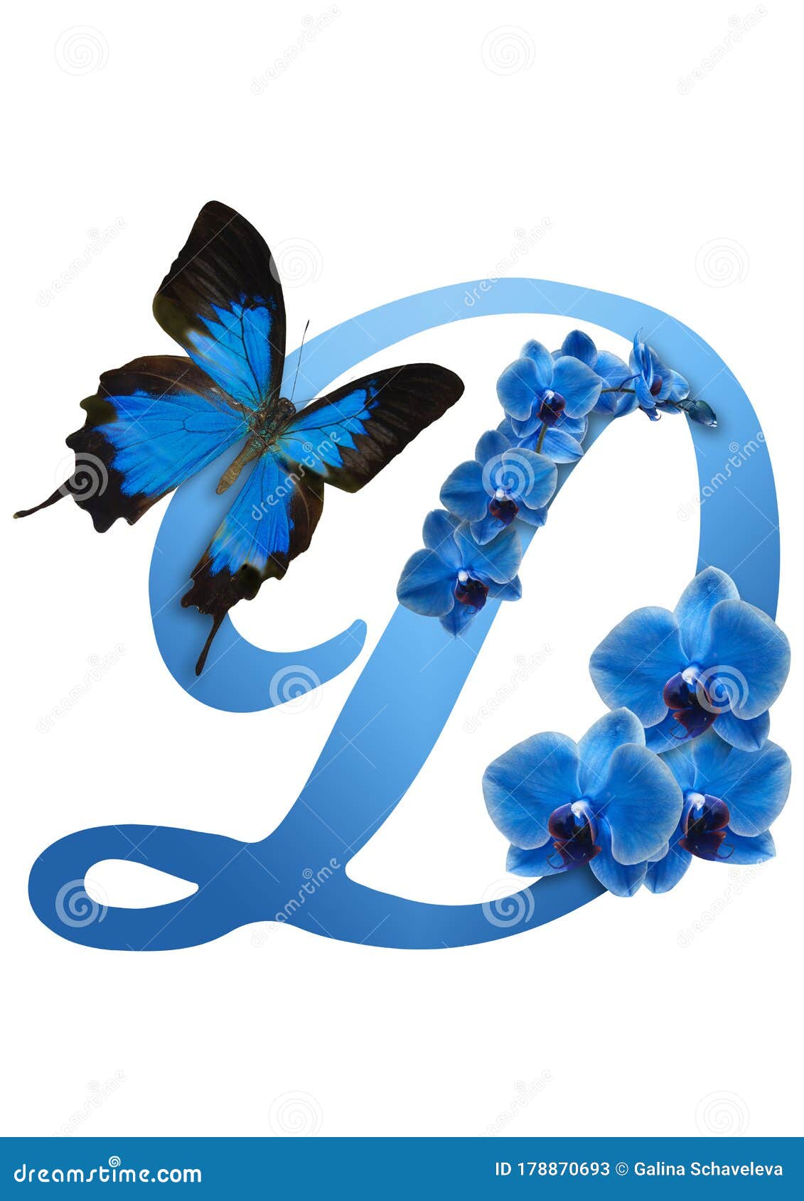 Butterfly Letters