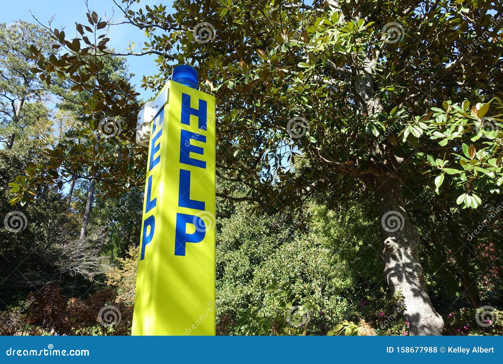 Blue Light Emergency Phone - HELP Stock Photo - Image of light, pole ...