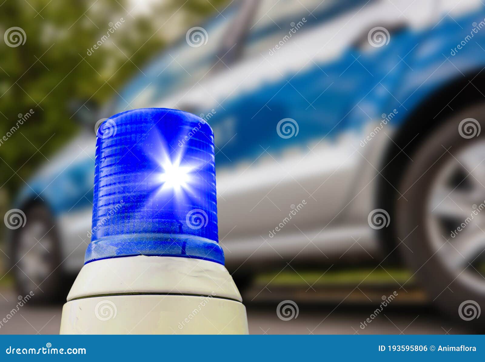Blue light police stock photo. Image of violence, burglary - 193595806