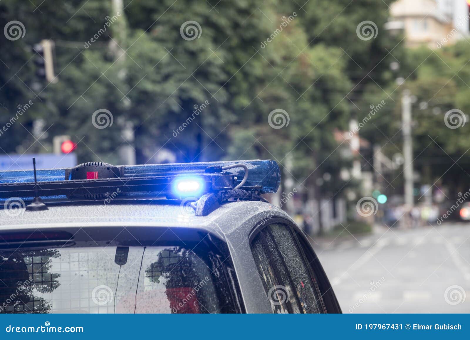 Blue Light Signal on a Police Car Stock Image - Image of subject ...