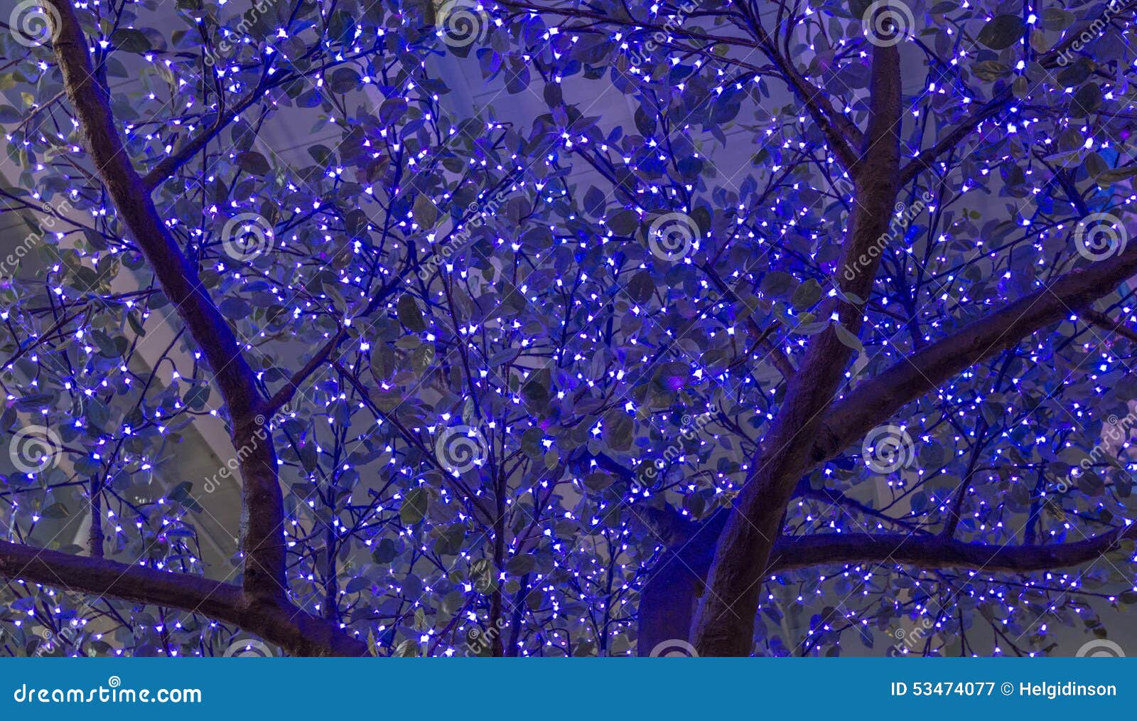 Blue Light and Tree Branches Stock Image - Image of abstract, flow ...
