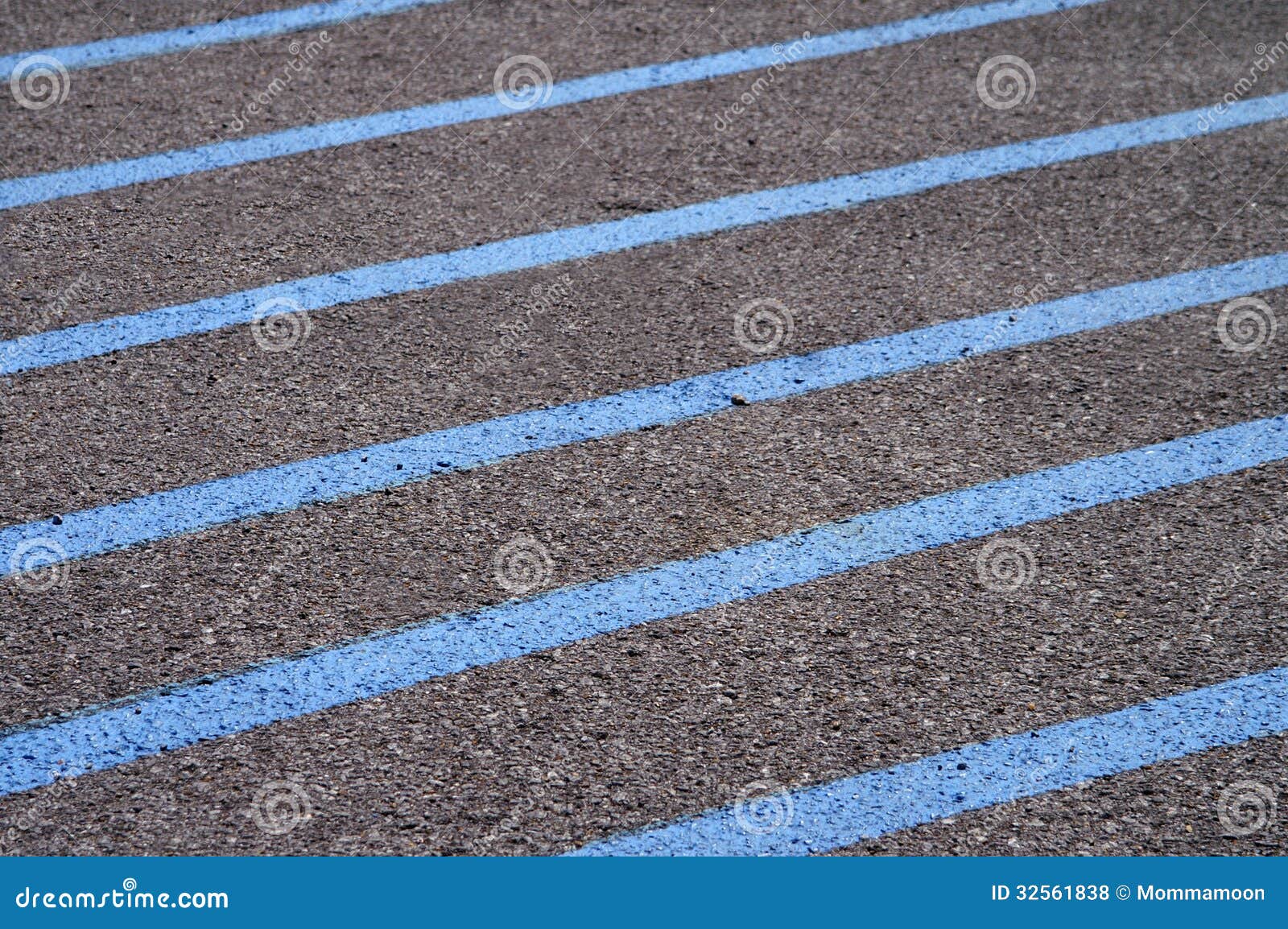 Blue Lines on Pavement stock photo. Image of handicap - 32561838