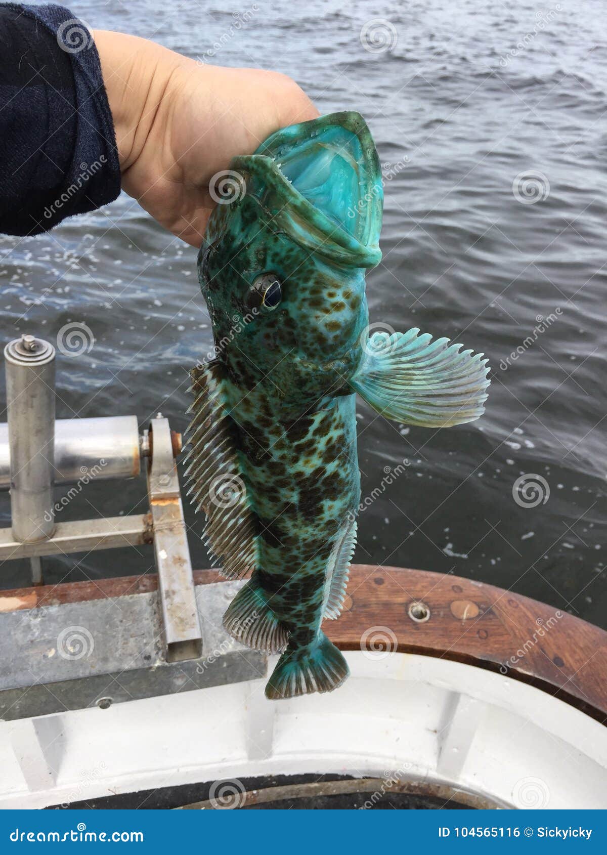 Fishing trip stock photo. Image of ocean, boat, fishing - 104565116