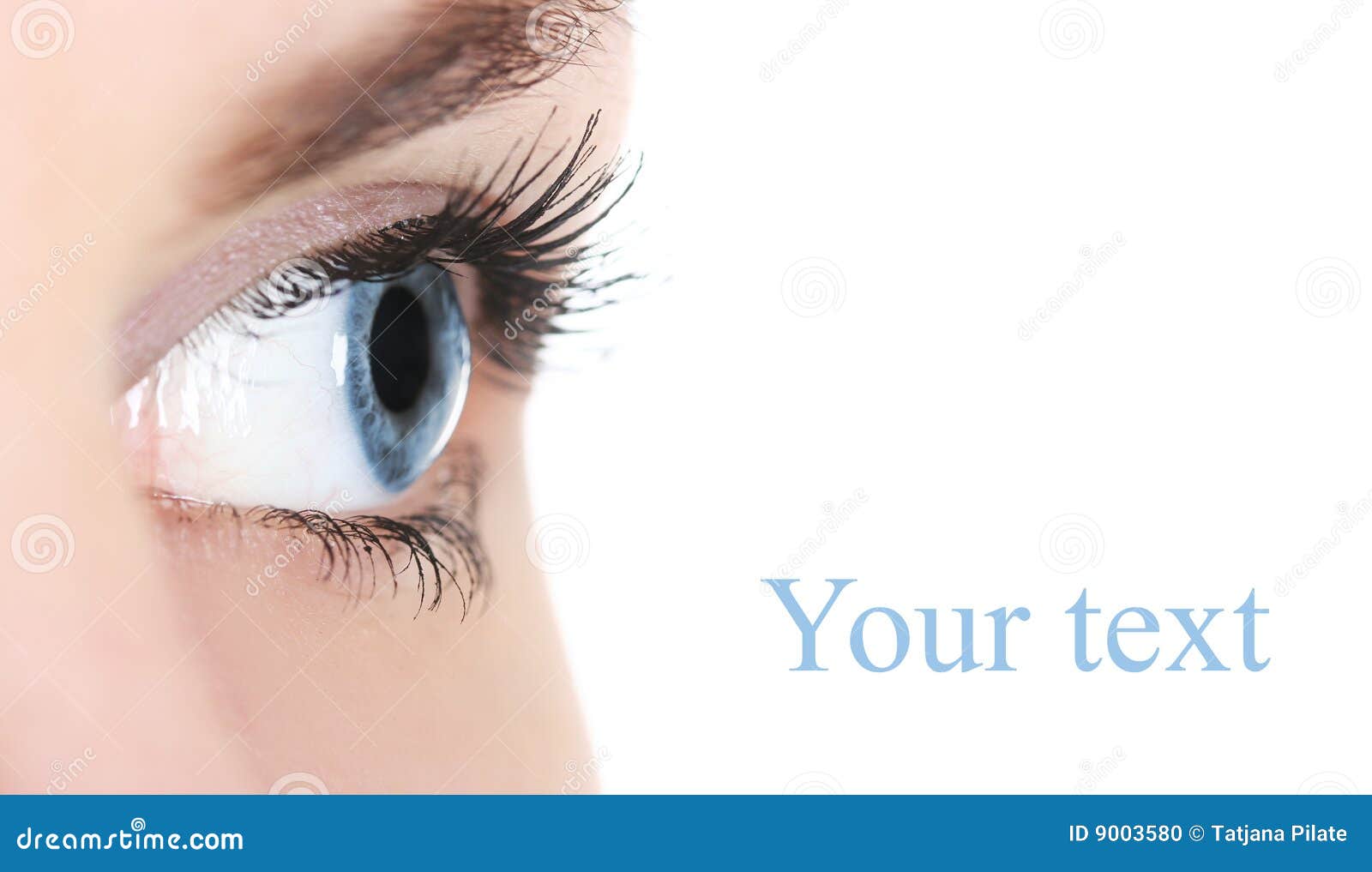 Blue look stock photo. Image of eyelash, face, lens, blue - 9003580
