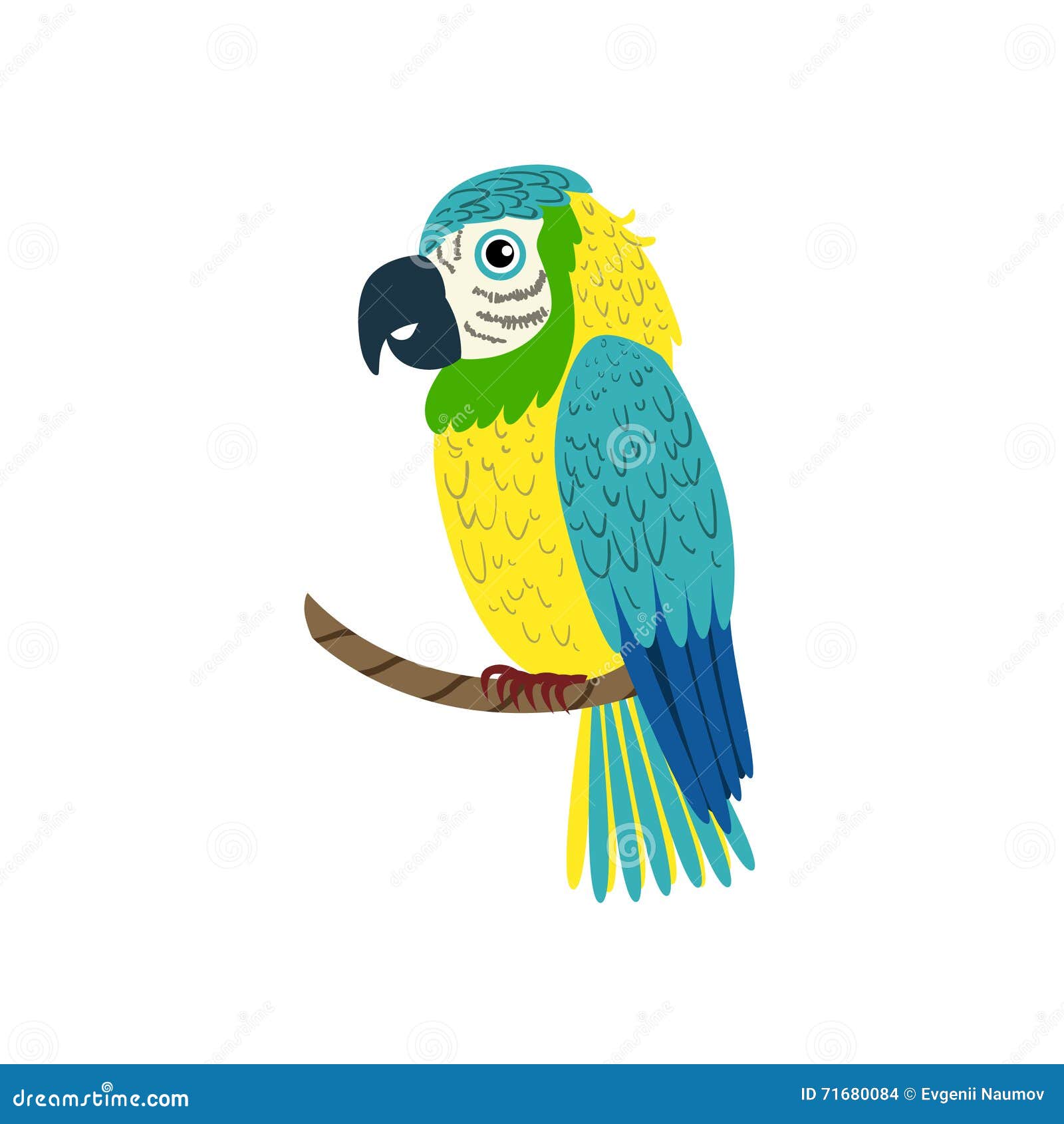 Blue Macaw Parrot stock vector. Illustration of representing - 71680084