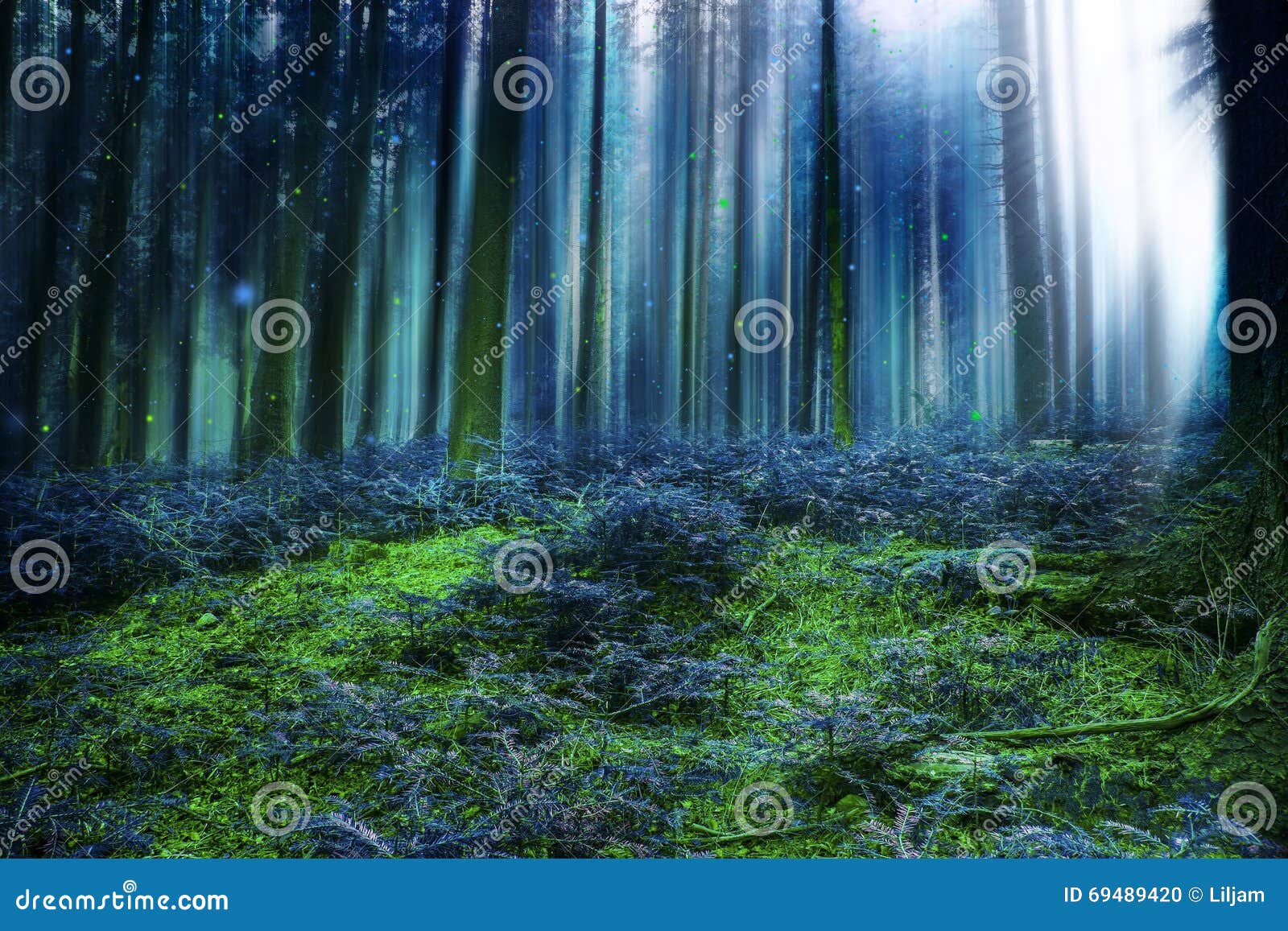 Blue Magic Fairytale Forest with Lights Stock Photo - Image of park ...