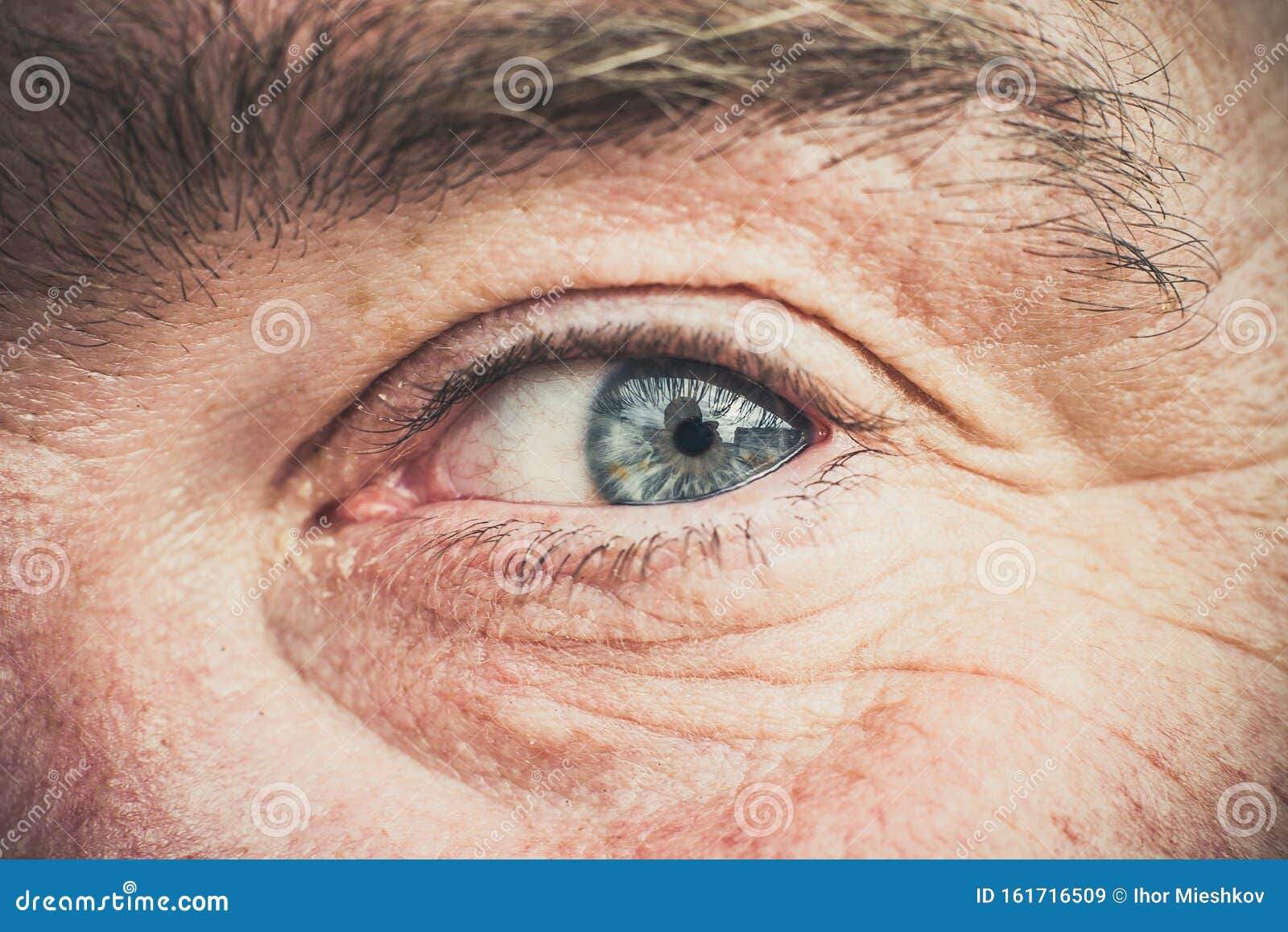 Blue male eye close stock image. Image of close, confident - 161716509