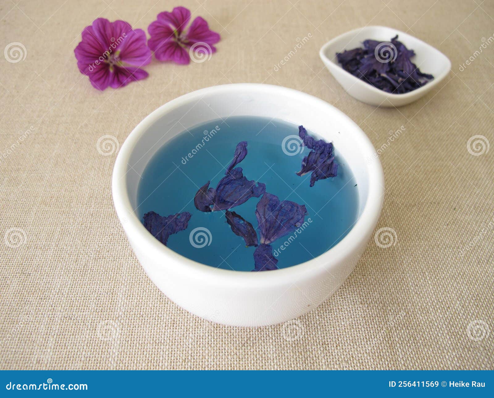 Blue mallow tea stock image. Image of herbal, medicine - 256411569