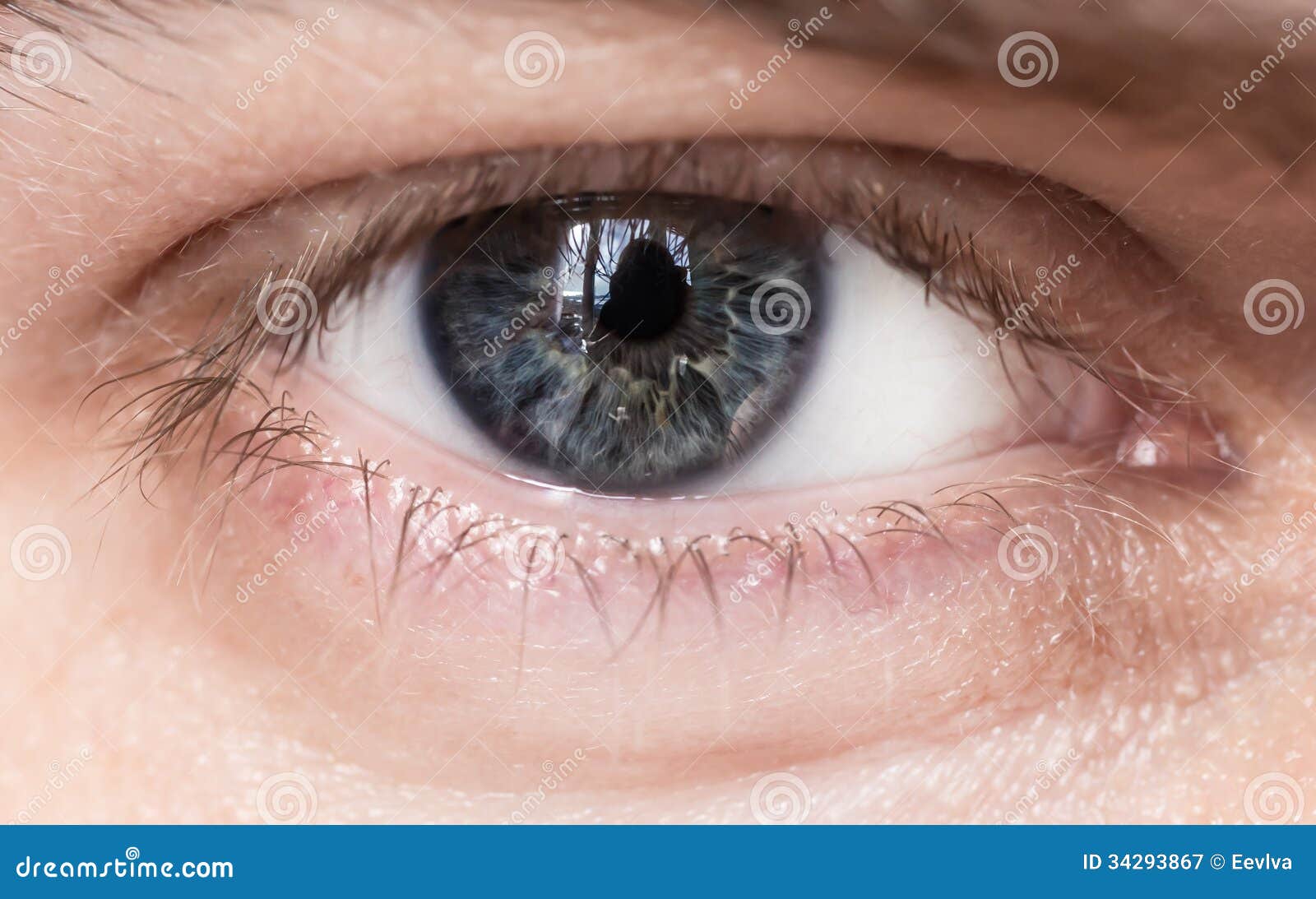 Blue man eye. stock image. Image of explore, closeup - 34293867