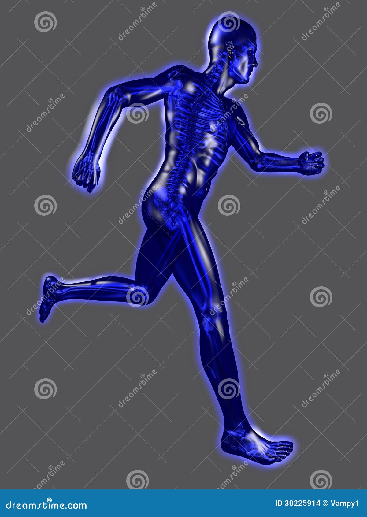 Man running seen on x-rays stock illustration. Illustration of ulna ...