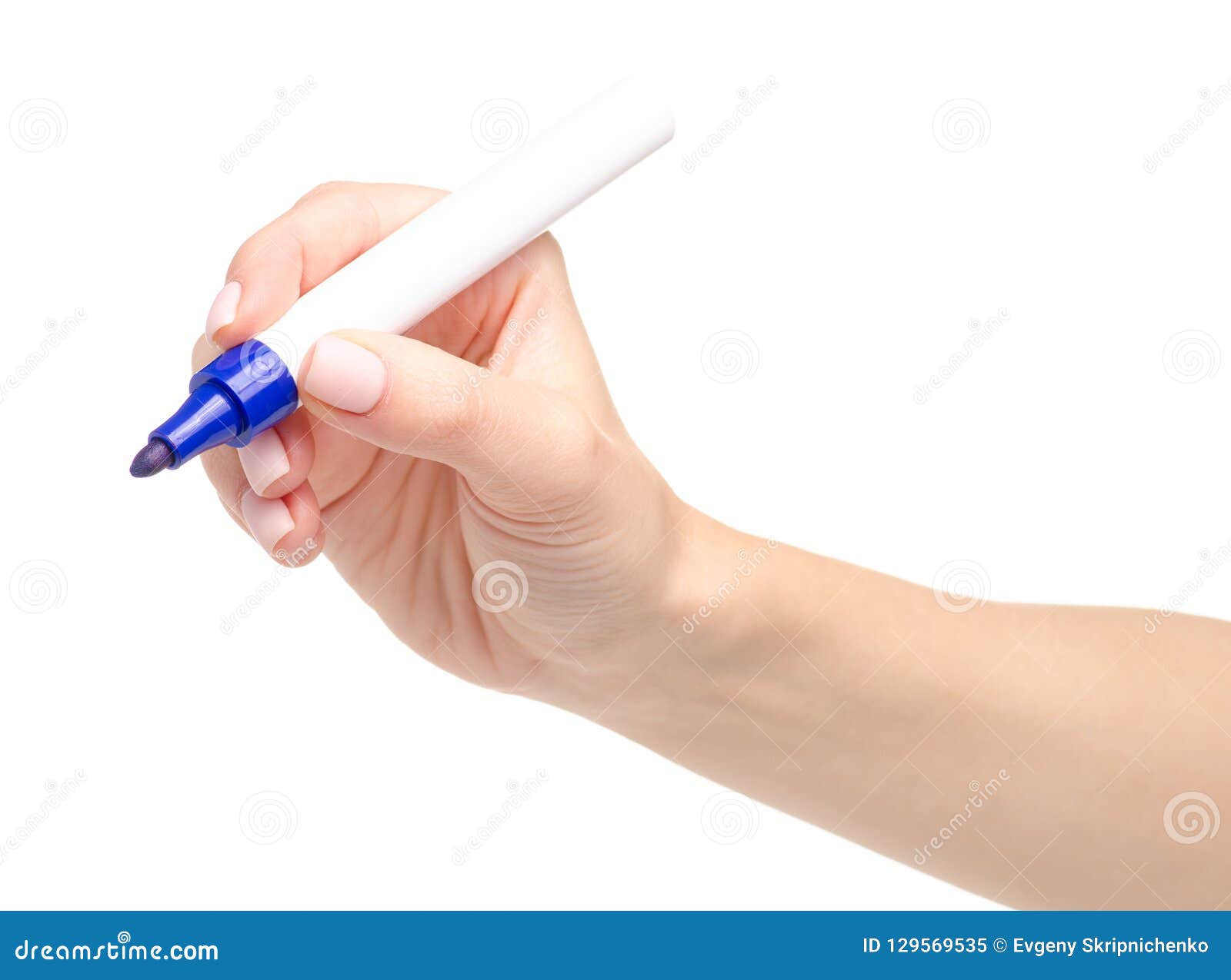 Blue marker in hand stock image. Image of blank, finger - 129569535