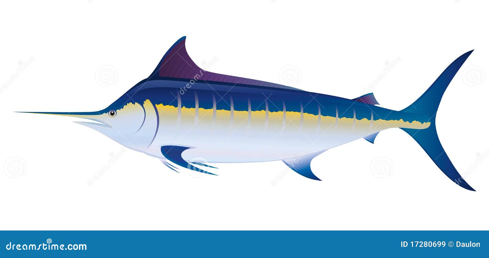 Blue Marlin stock vector. Illustration of fishing, vector - 17280699