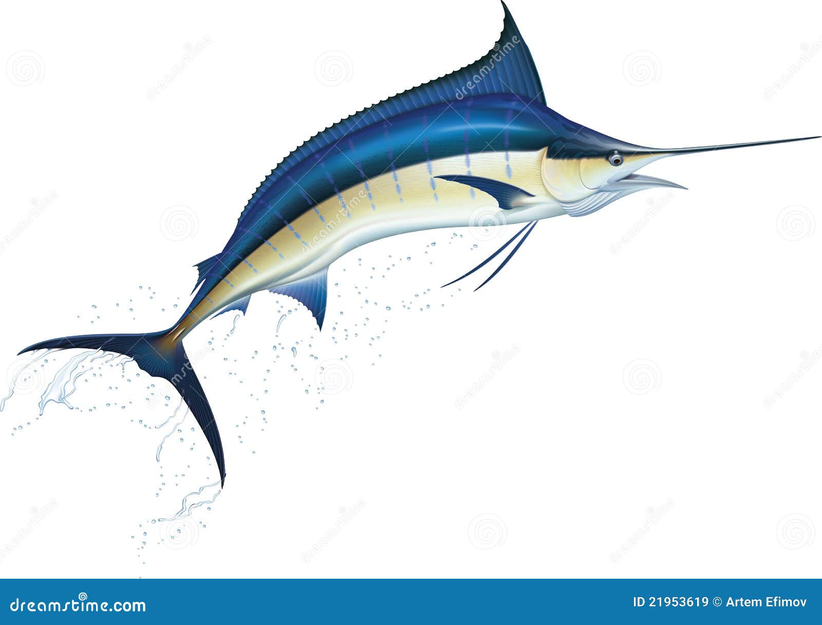 Blue marlin stock vector. Illustration of sprays, vector - 21953619
