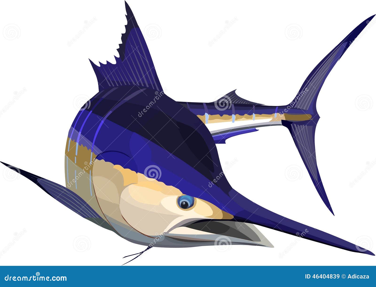 Blue marlin stock vector. Illustration of fish, vector - 46404839