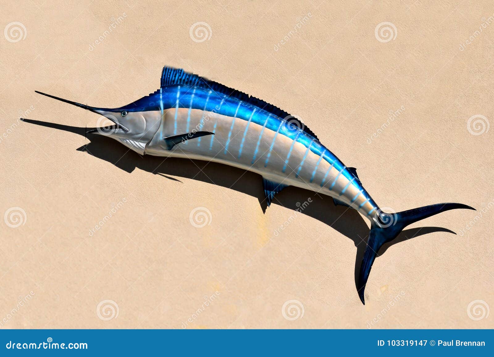 Blue marlin on wall stock image. Image of closeup, wall - 103319147