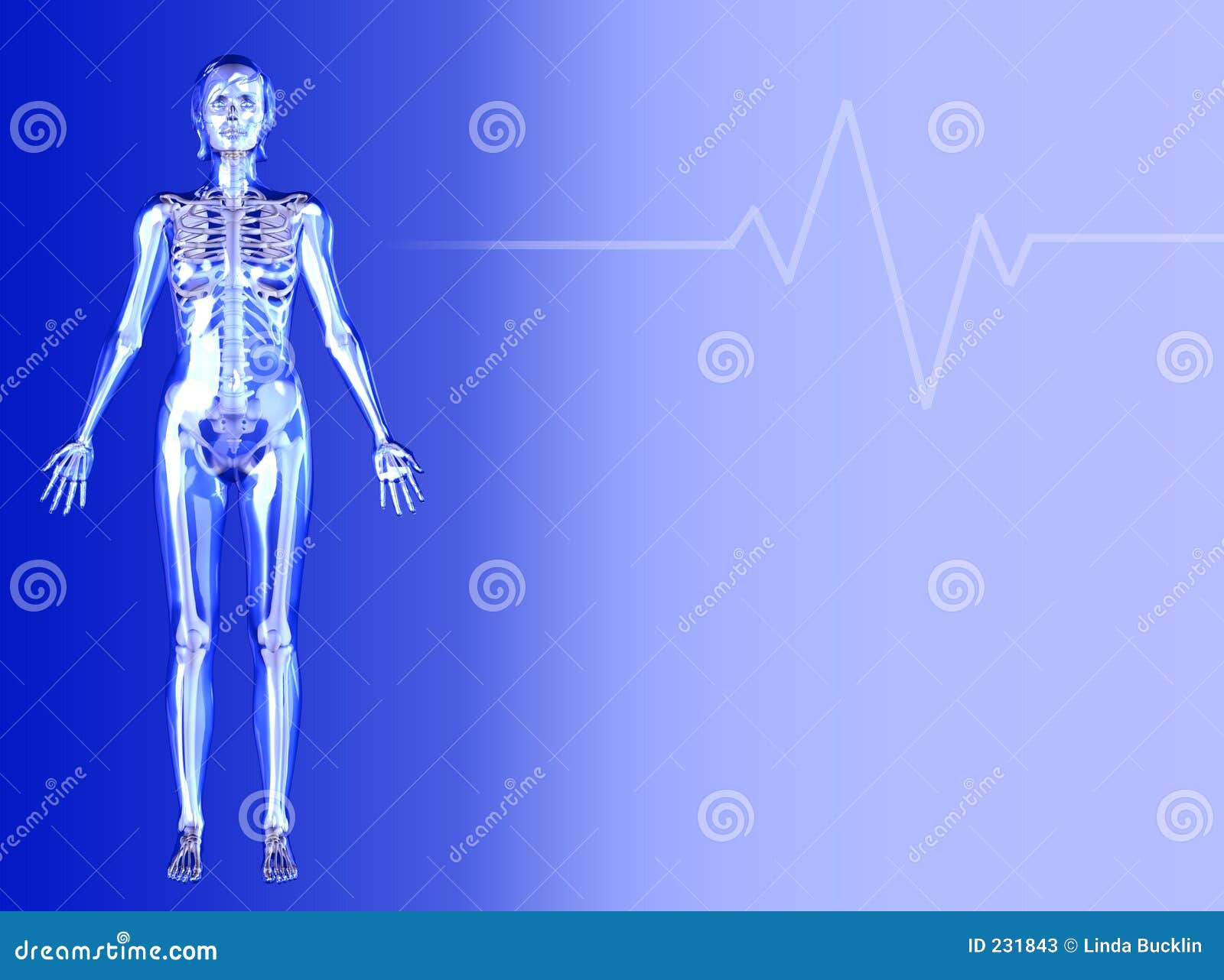 Blue Medical Background - Female Figure Stock Illustration ...